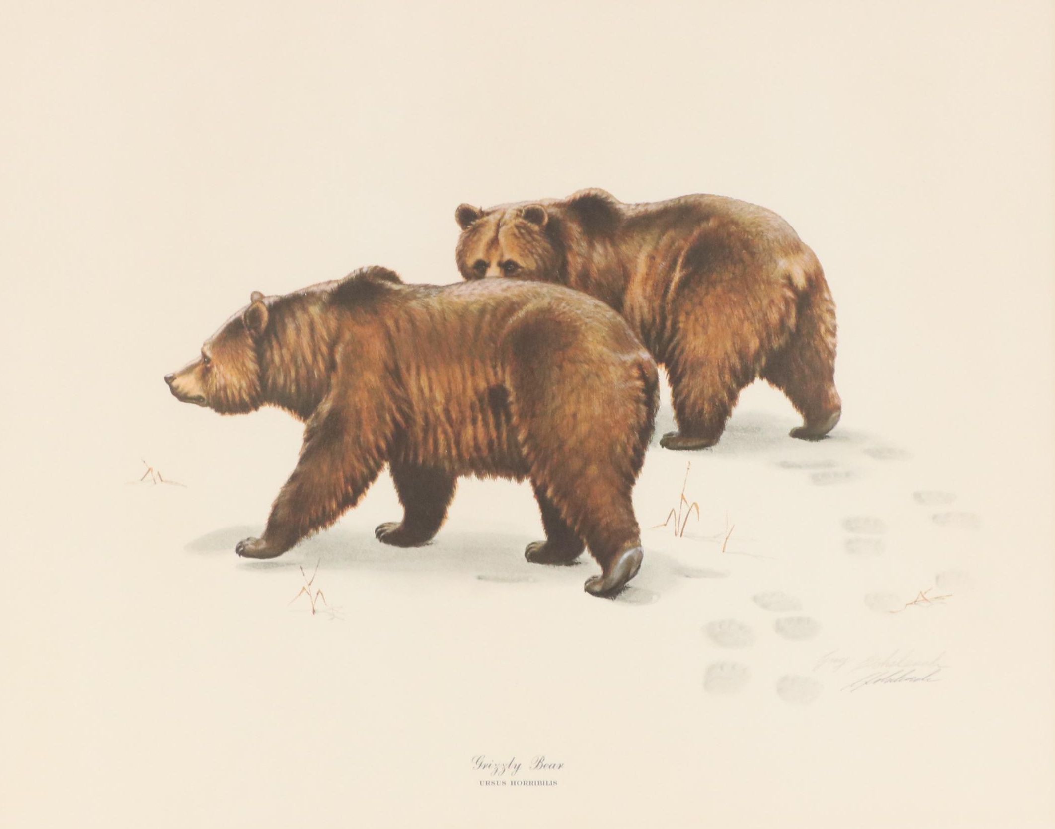 Guy Coheleach Offset Lithograph "Grizzly Bear" | EBTH