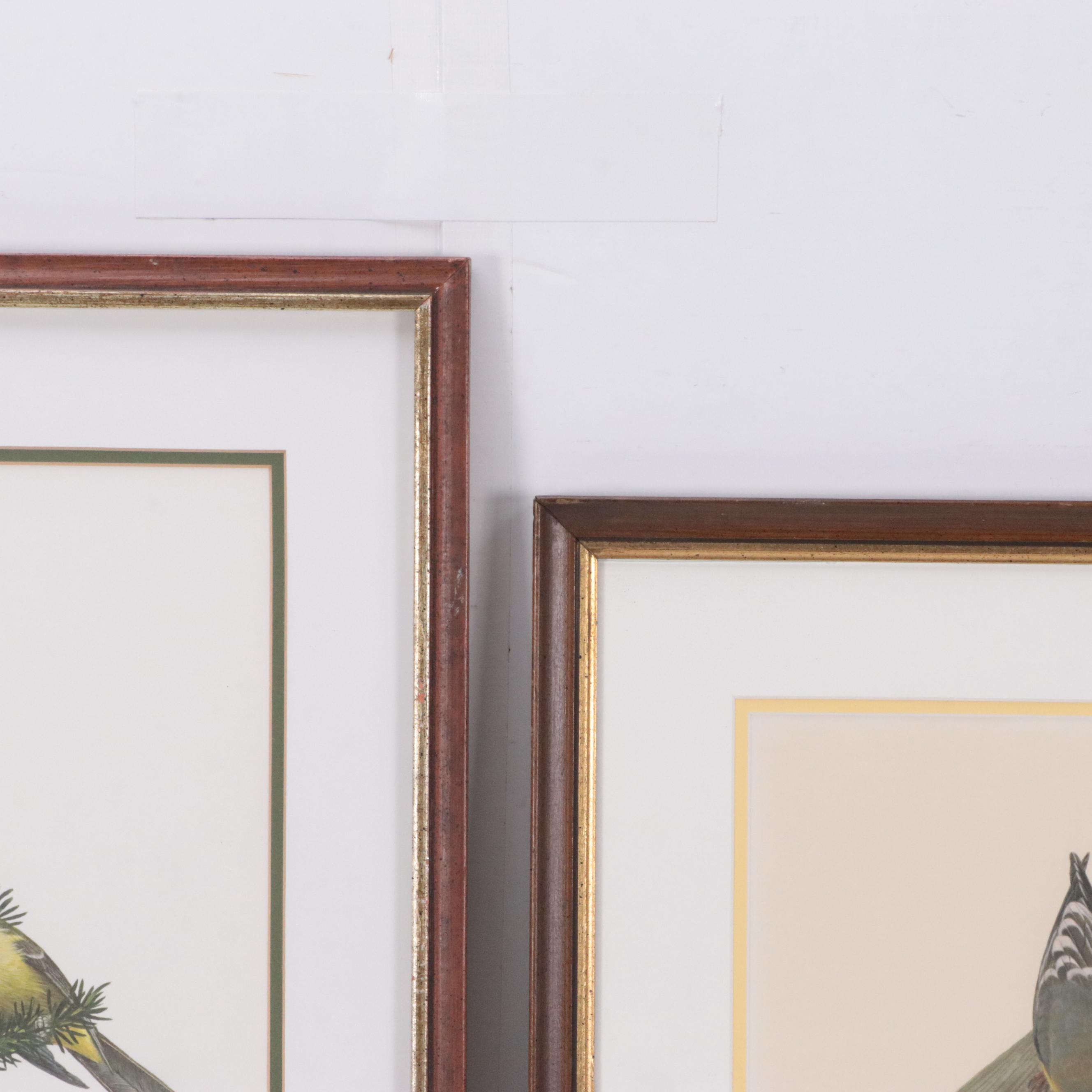 Ray Harm Offset Prints of Birds | EBTH