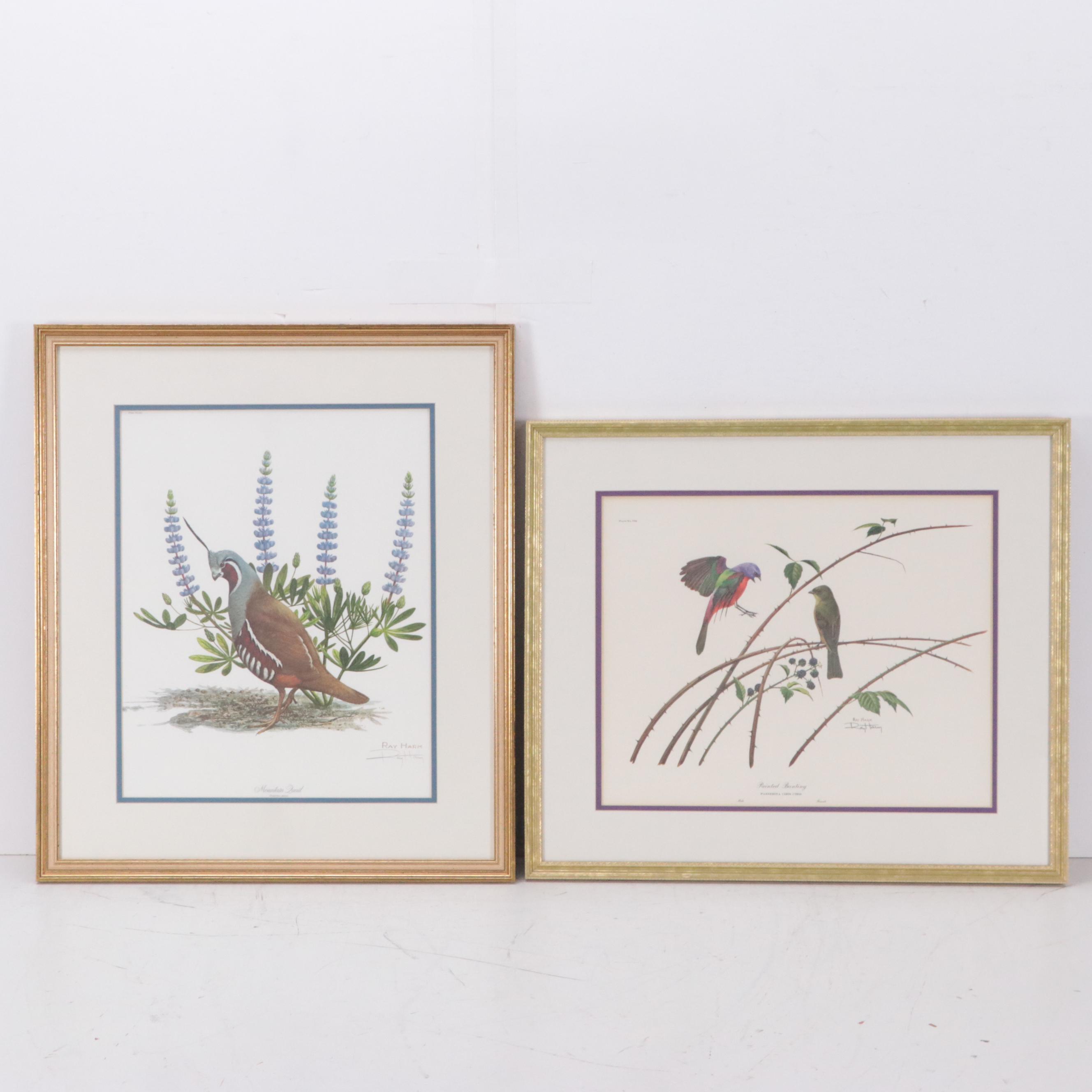 Ray Harm Offset Prints of Birds | EBTH