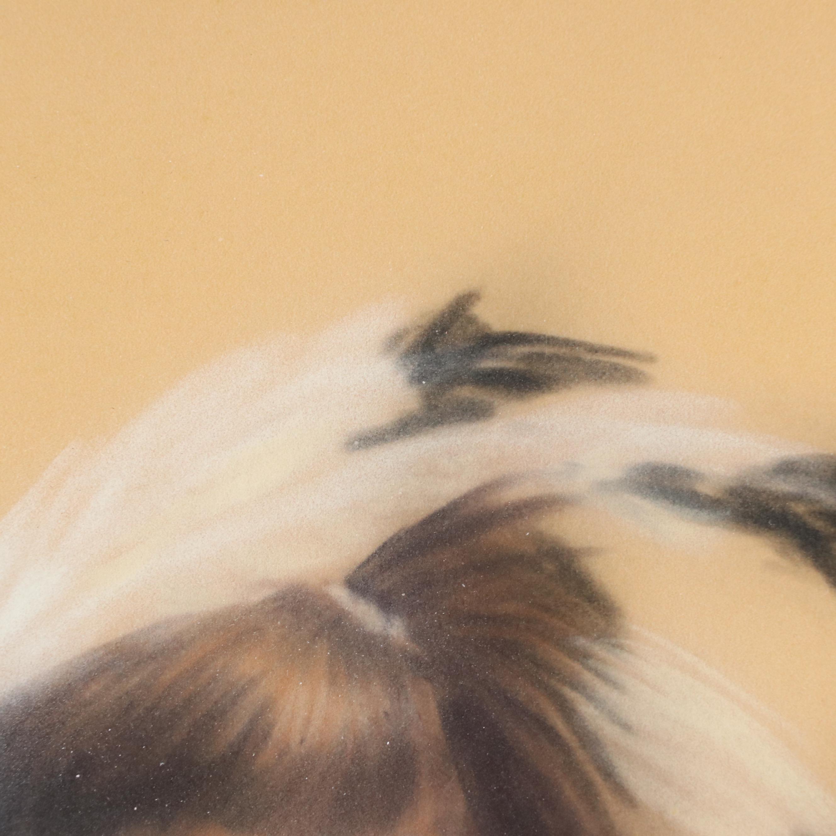 Chalk Pastel Drawing of Native American Portrait | Everything But The House