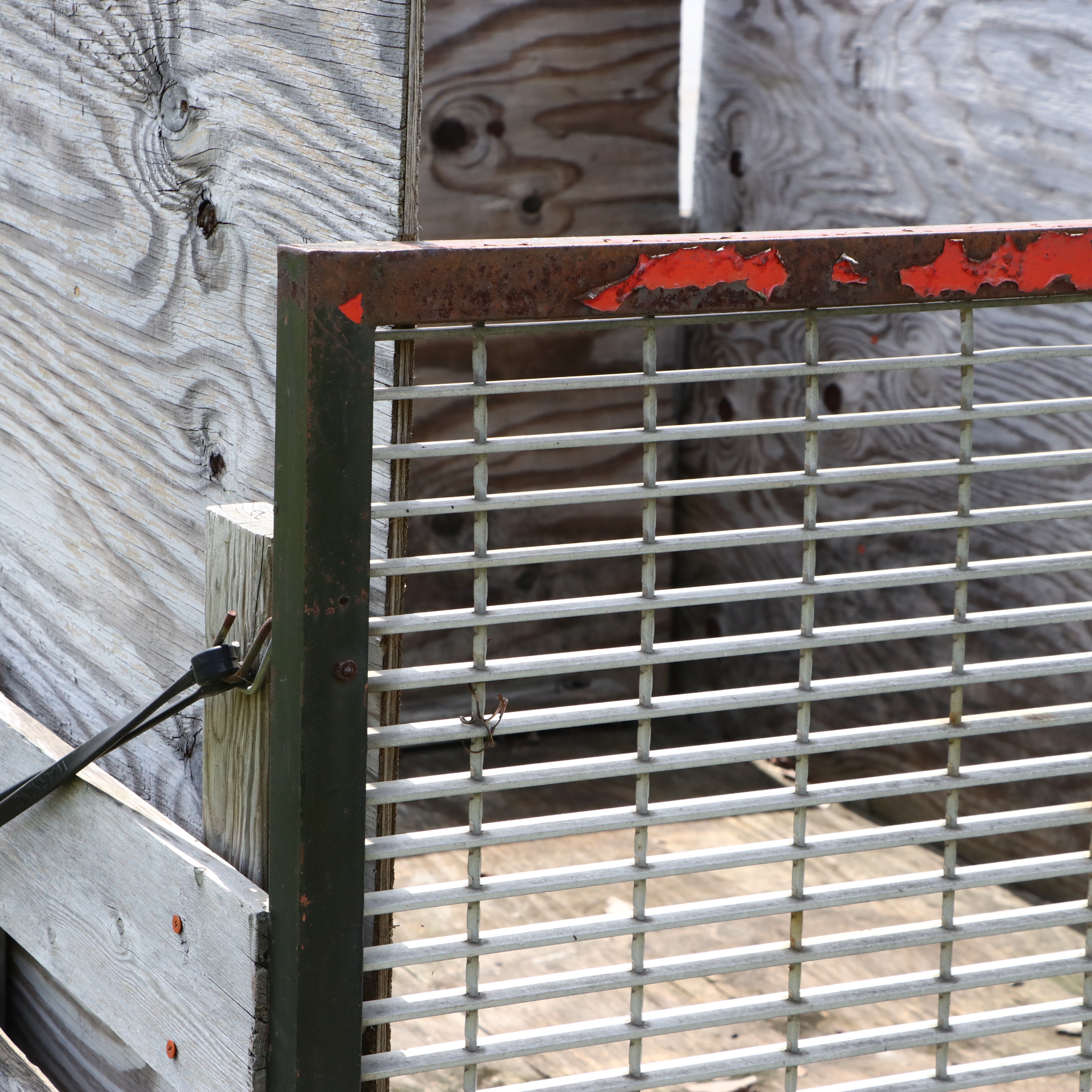 Custom Built Trailer 5' x 8' Bed, with Drop-down Gate | EBTH