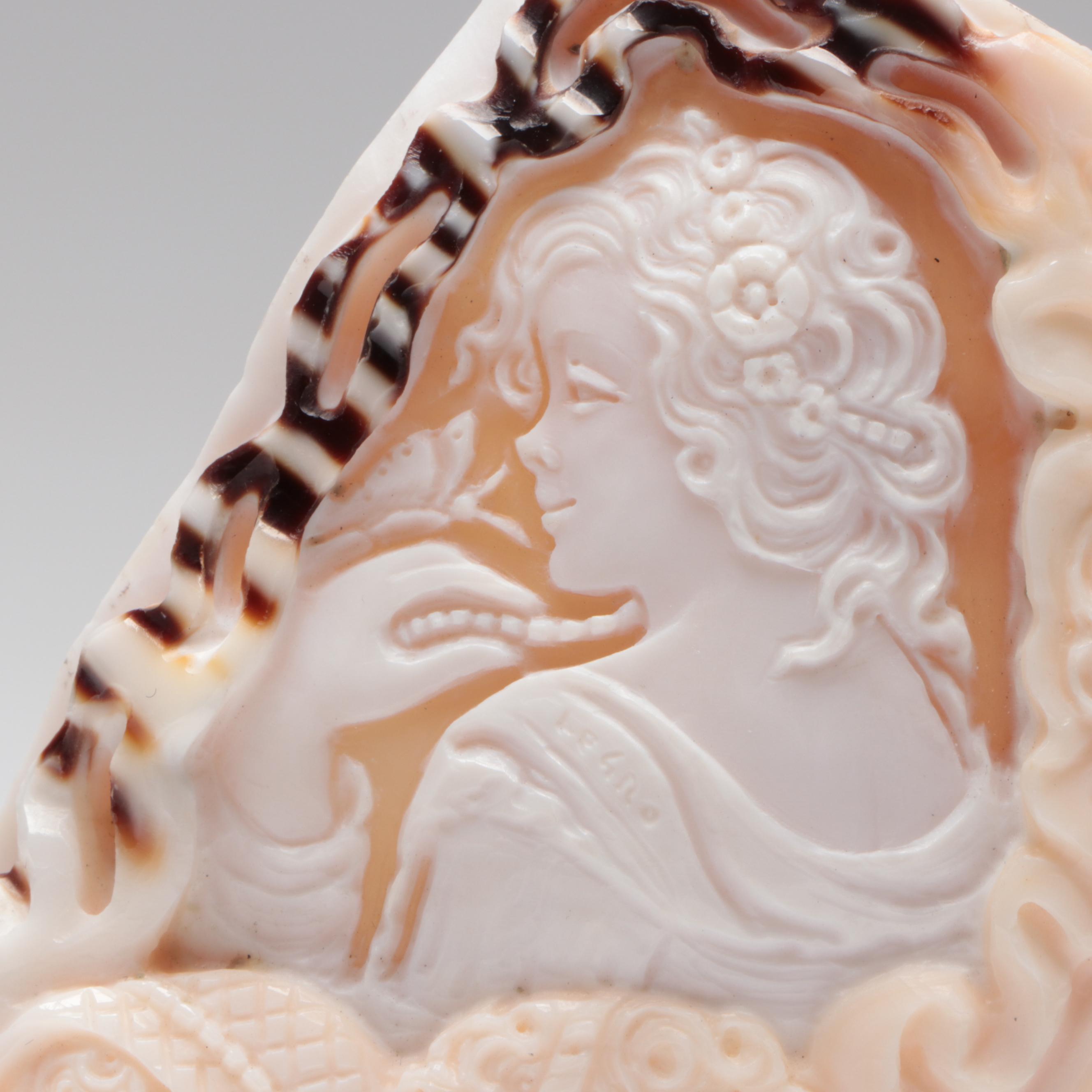 Italian Hand-Carved Bullmouth Helmet Shell Cameo | Everything But The House