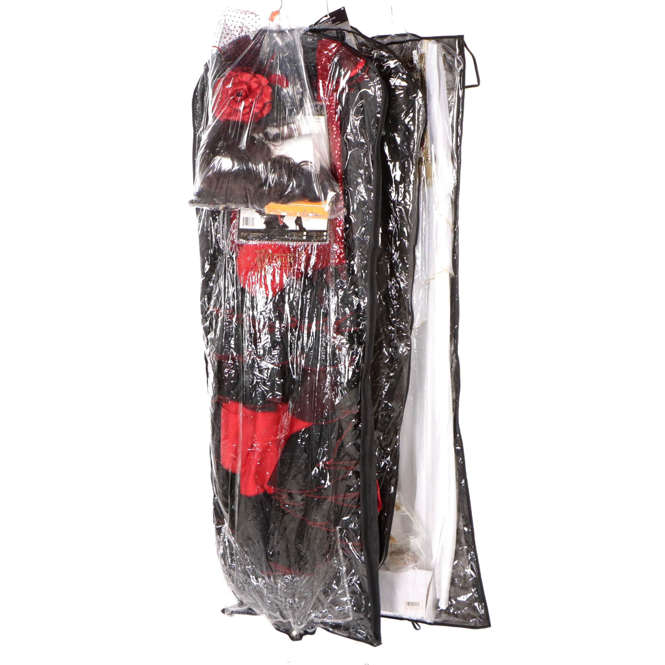 "Greek Goddess", "Spanish Dancer", and "Cha, Cha, Cha" Costumes ...