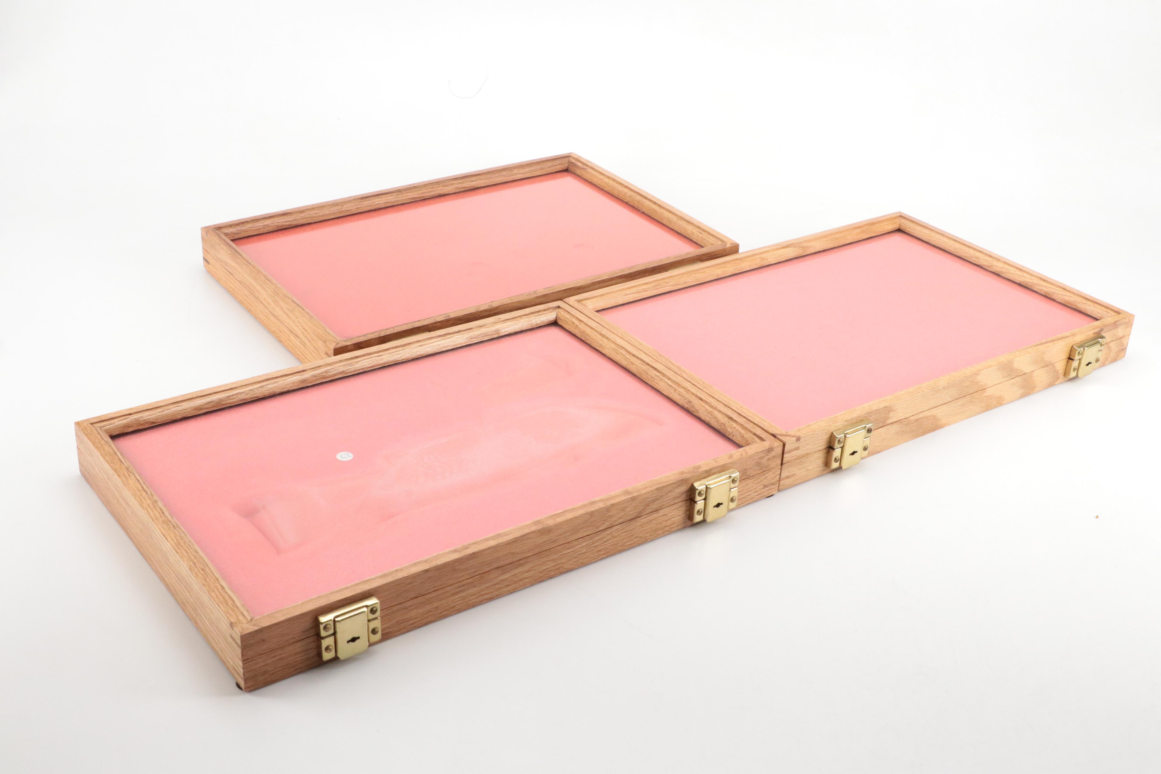 Oak Frame Glazed Tabletop Display Cases with Red Foam Backing, Set of ...