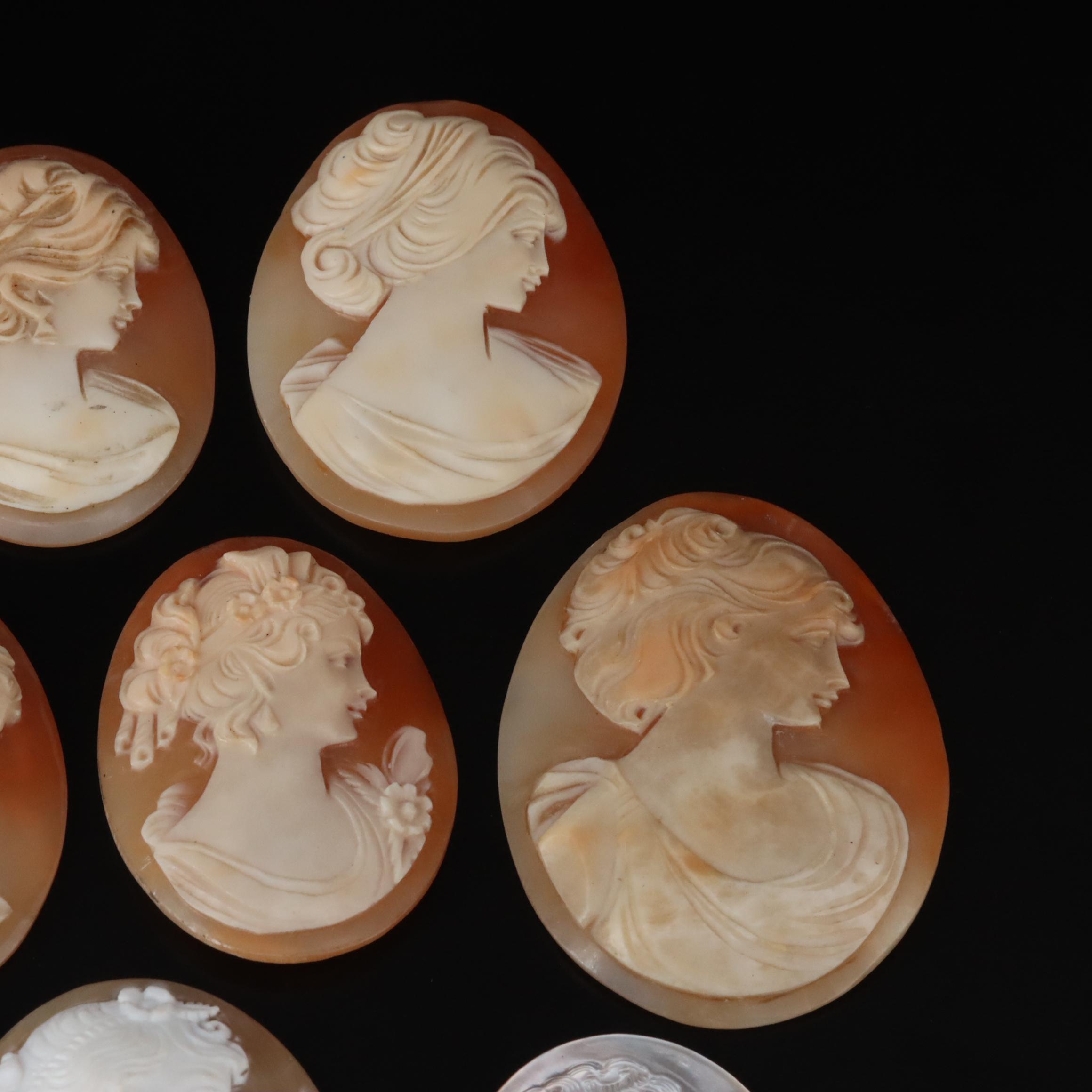 Loose Mother-of-Pearl and Shell Carved Cameos | Everything But The House
