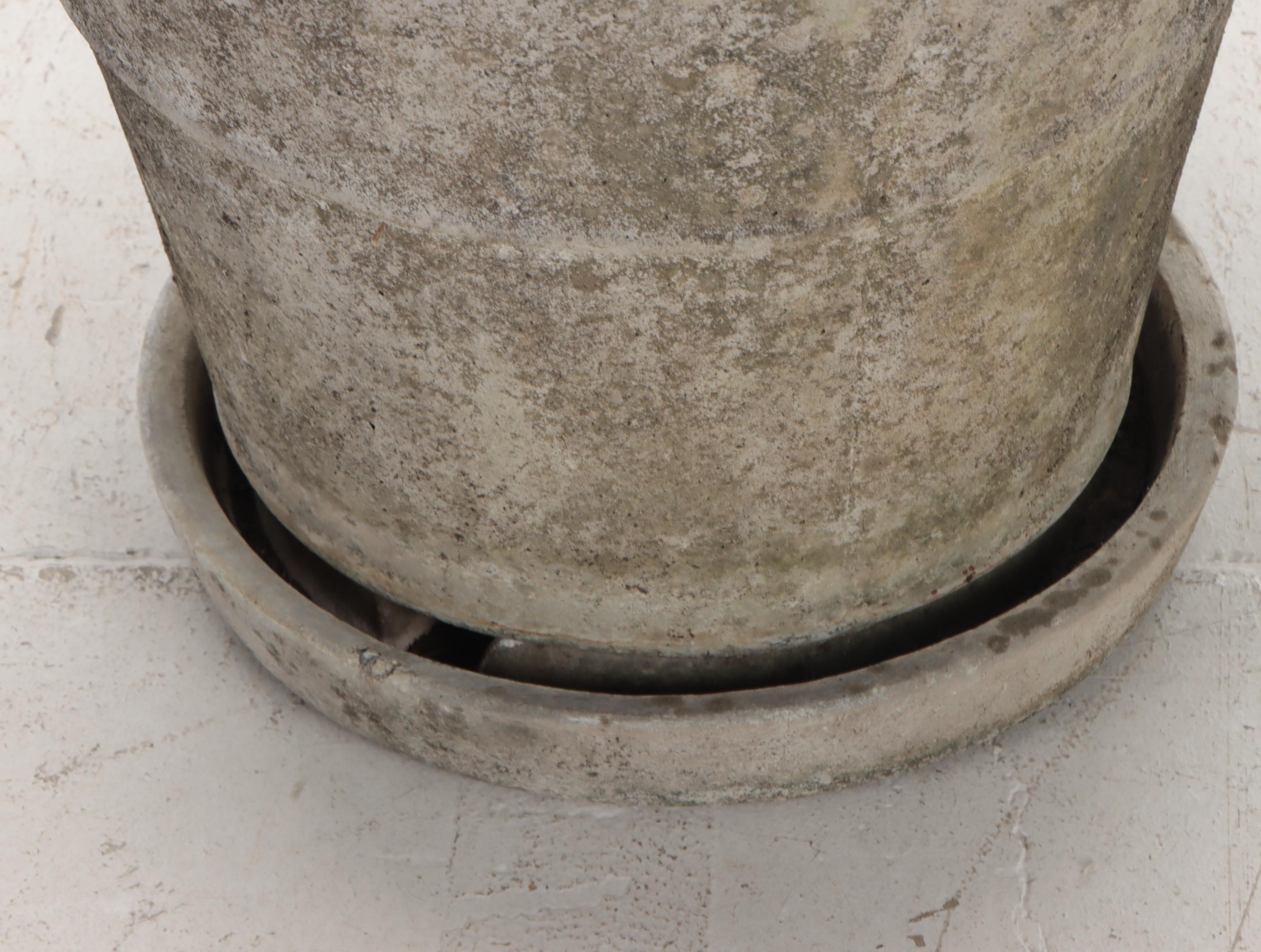 Neoclassical Style Cast Concrete Planter | Everything But The House