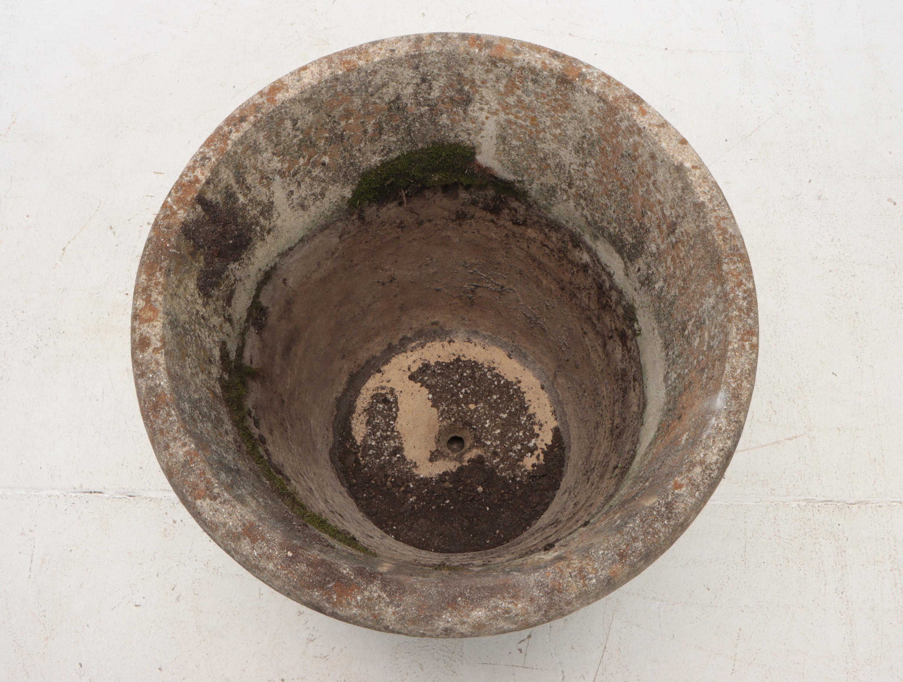 Neoclassical Style Cast Concrete Planter | Everything But The House