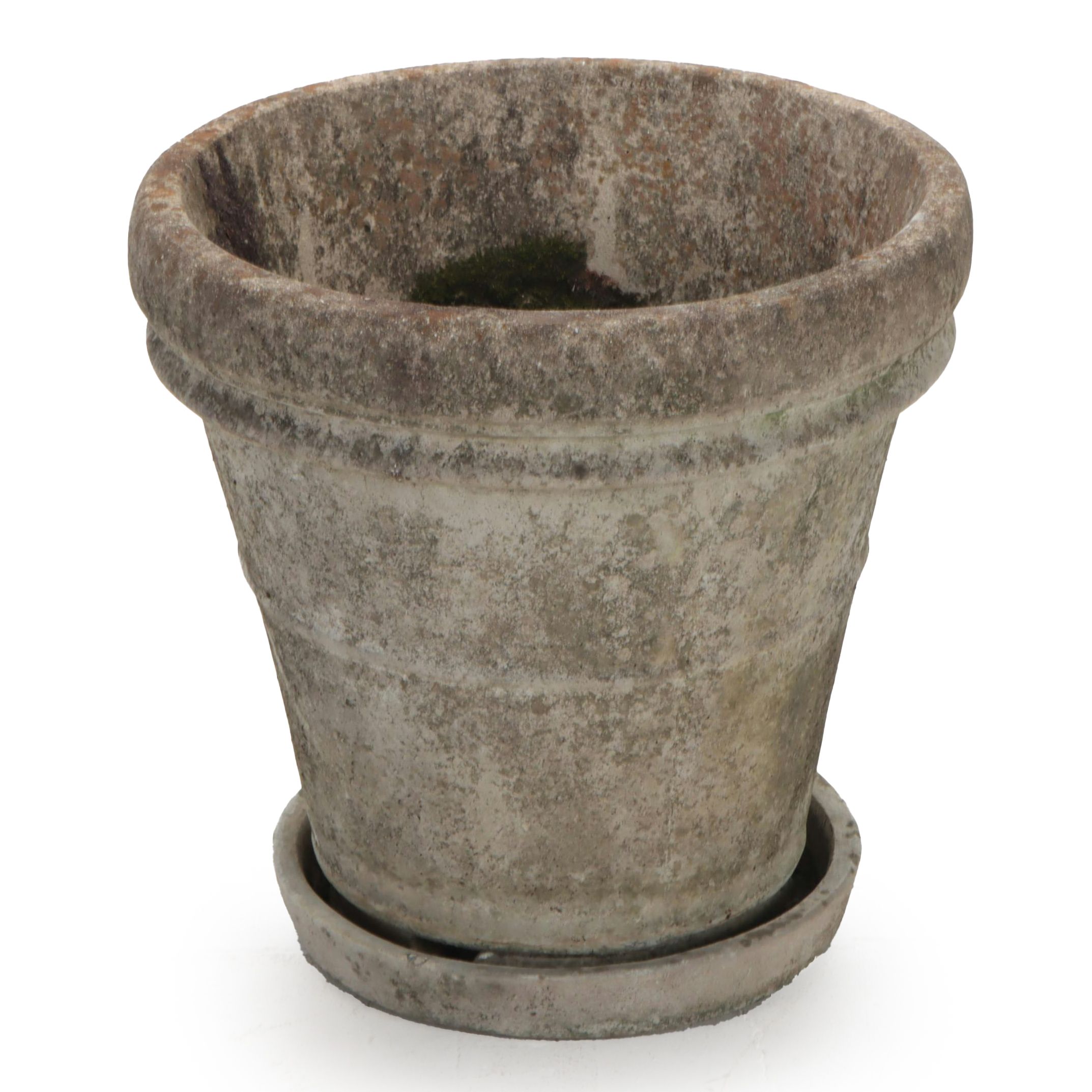 Neoclassical Style Cast Concrete Planter | Everything But The House
