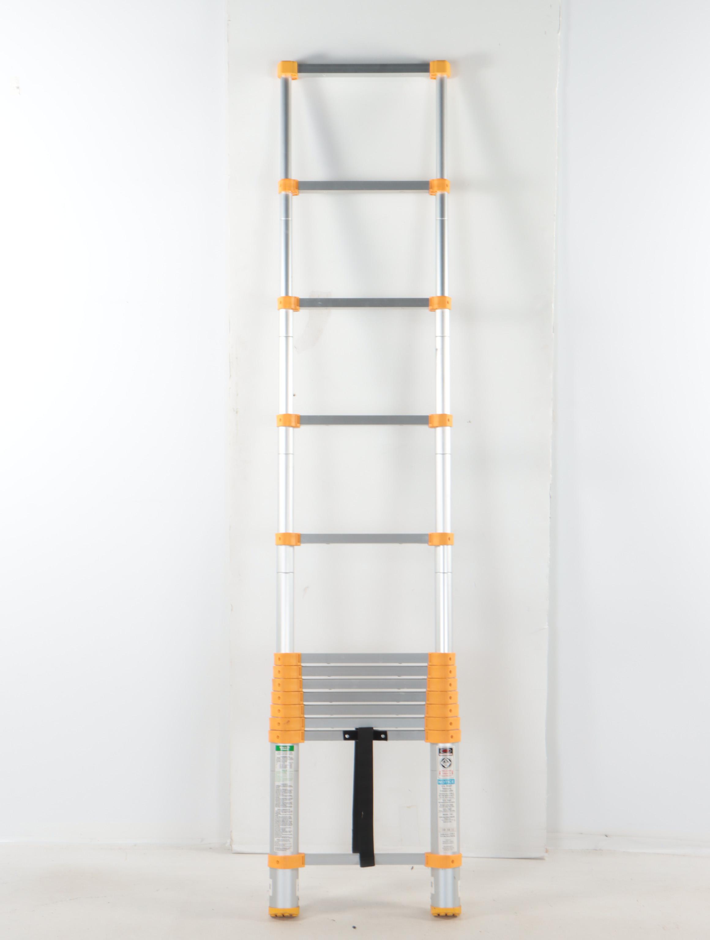 Cosco Step Stool with 12'6 Telescoping Extension Ladder | Everything ...