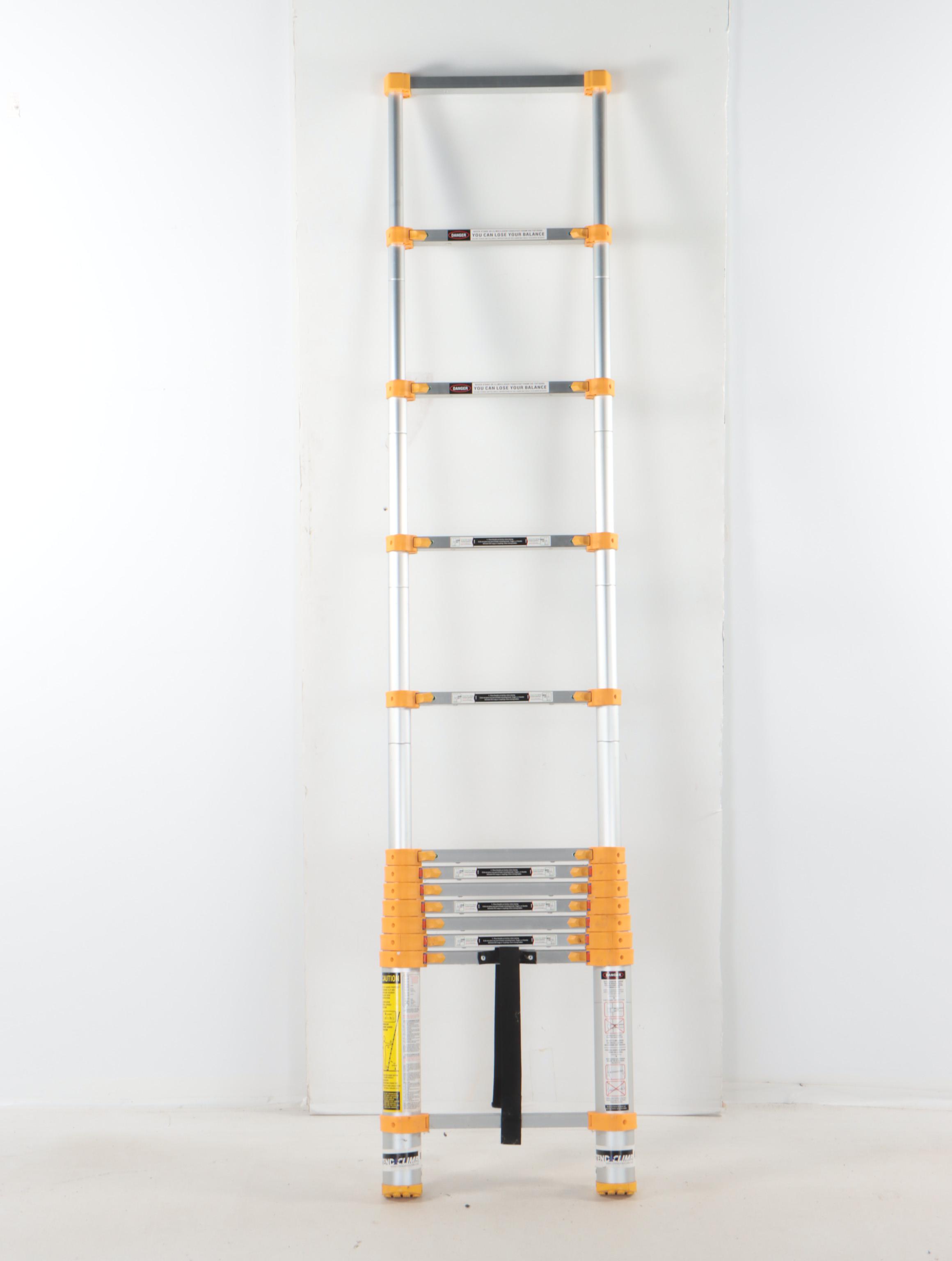 Cosco Step Stool with 12'6 Telescoping Extension Ladder | Everything ...