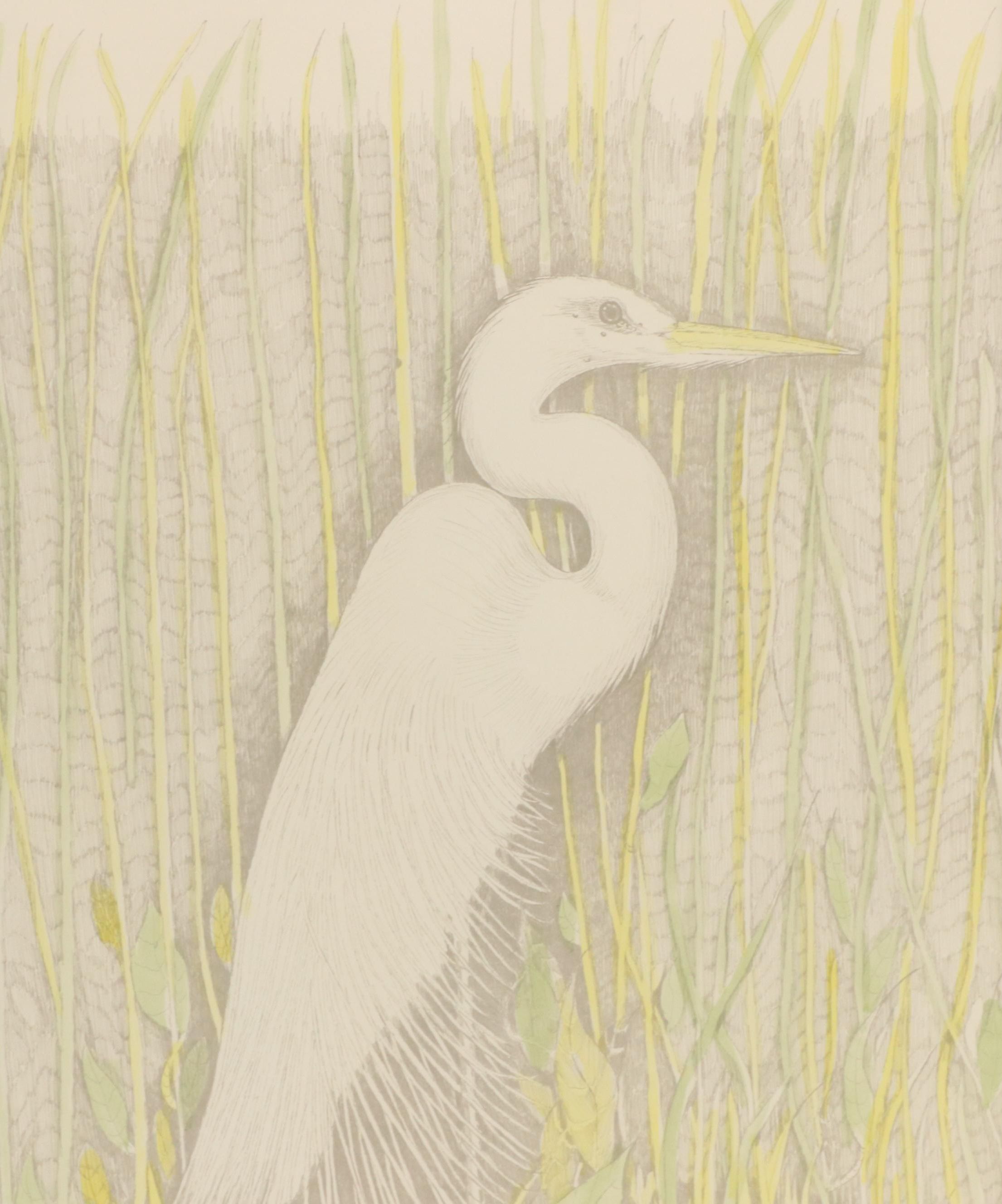 Don Russell Offset Print of White Heron | Everything But The House