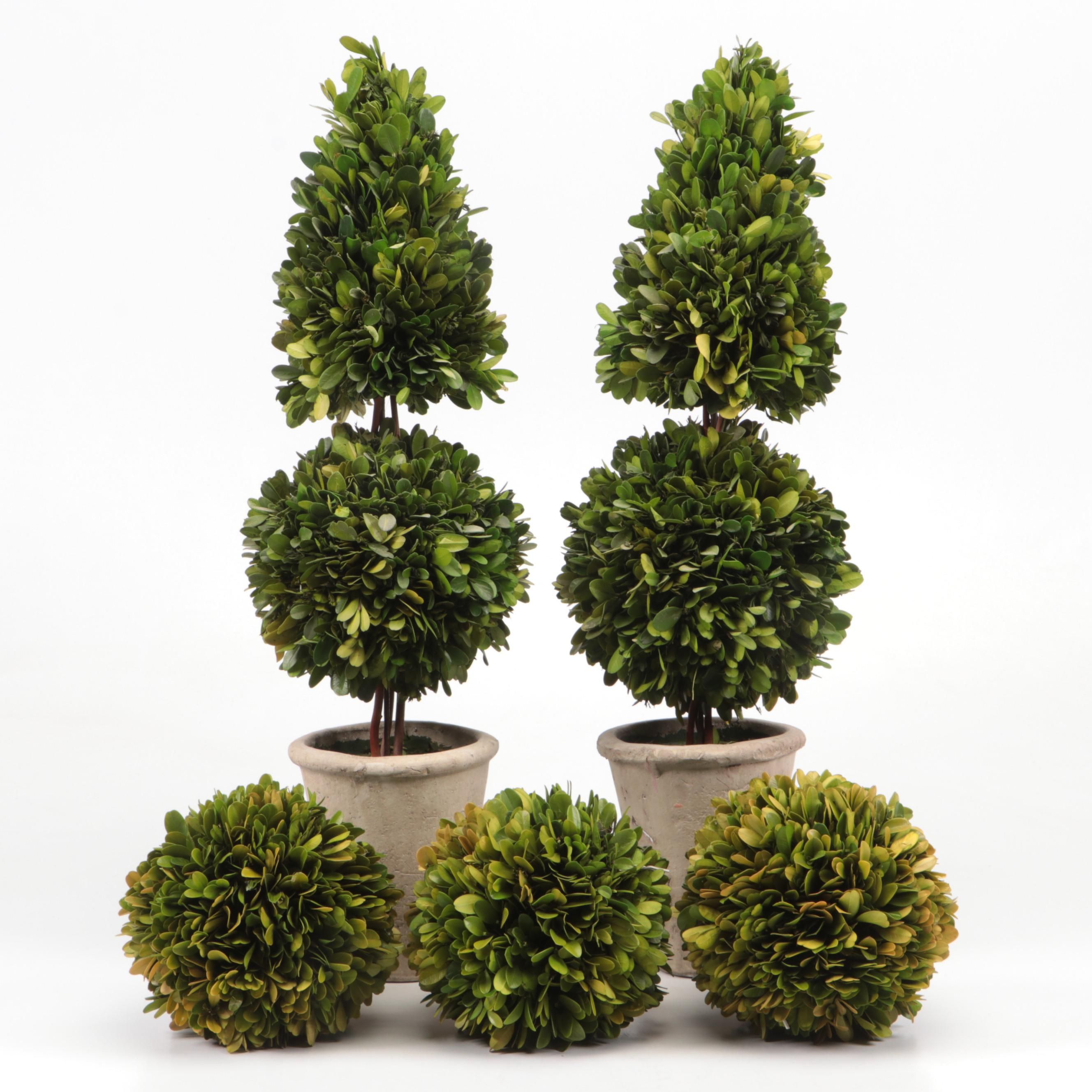 Artificial Boxwood Topiary Trees and Orbs | Everything But The House