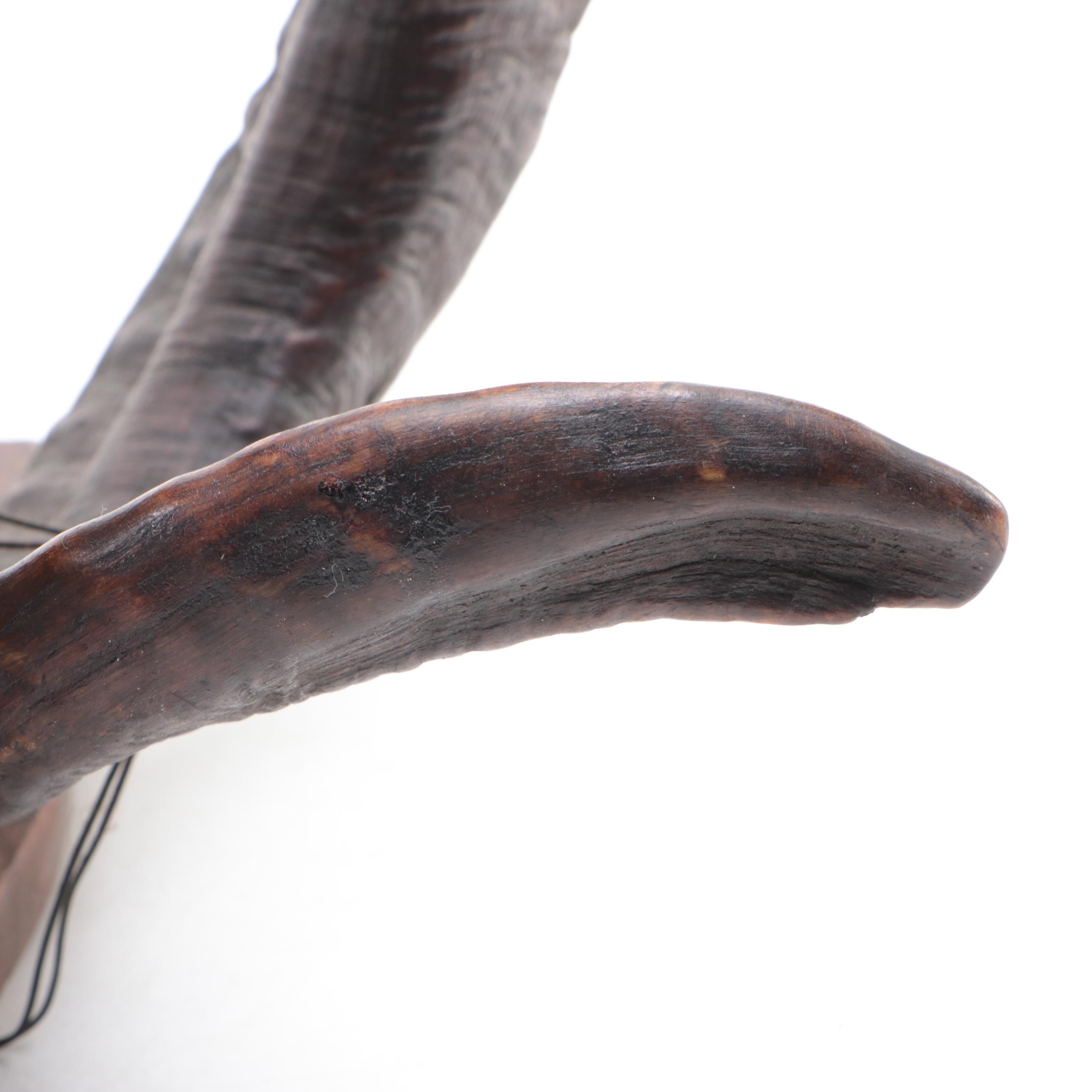 Taxidermy Wild Ram European Mount on Wood Plaque, Early to Mid-20th ...