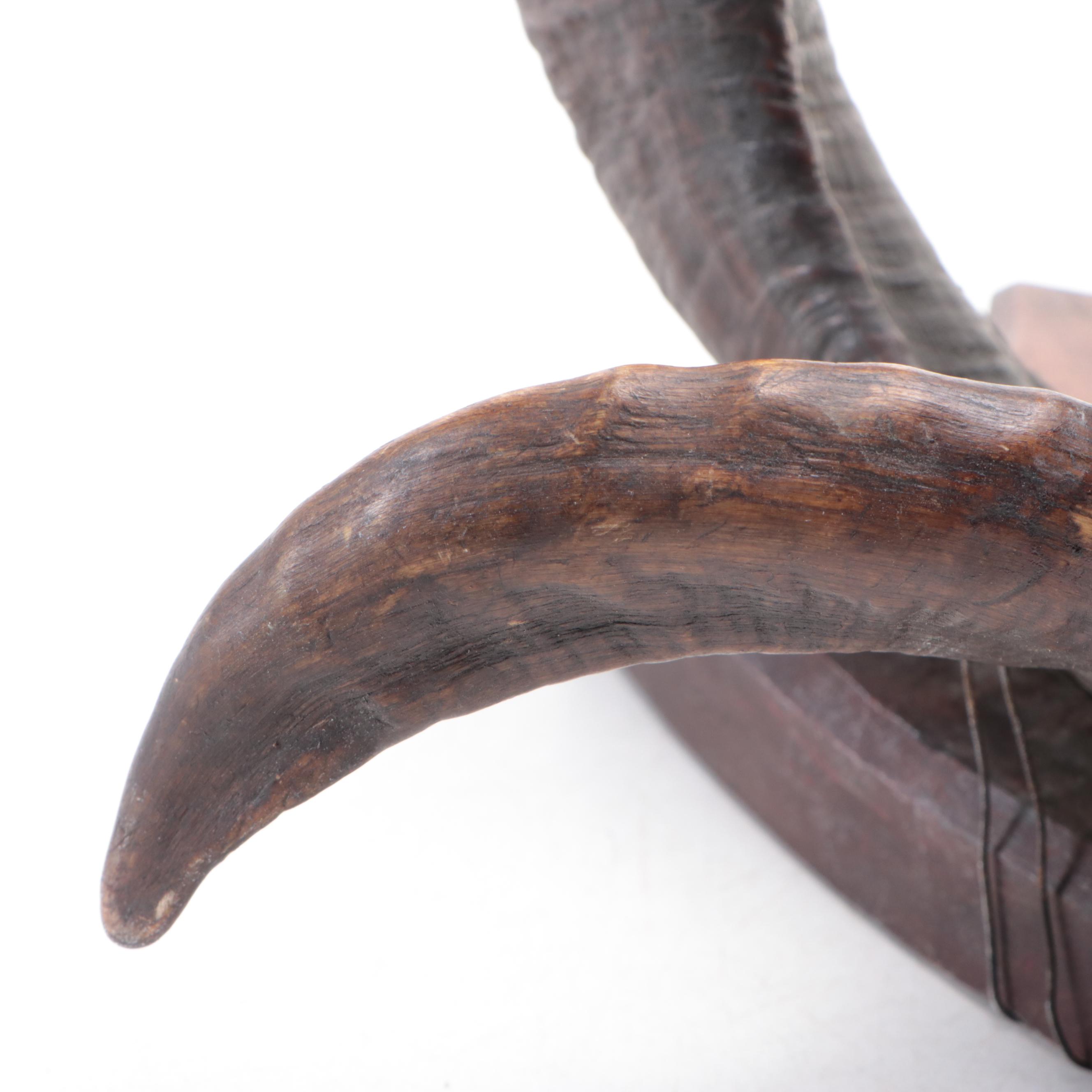 Taxidermy Wild Ram European Mount on Wood Plaque, Early to Mid-20th ...