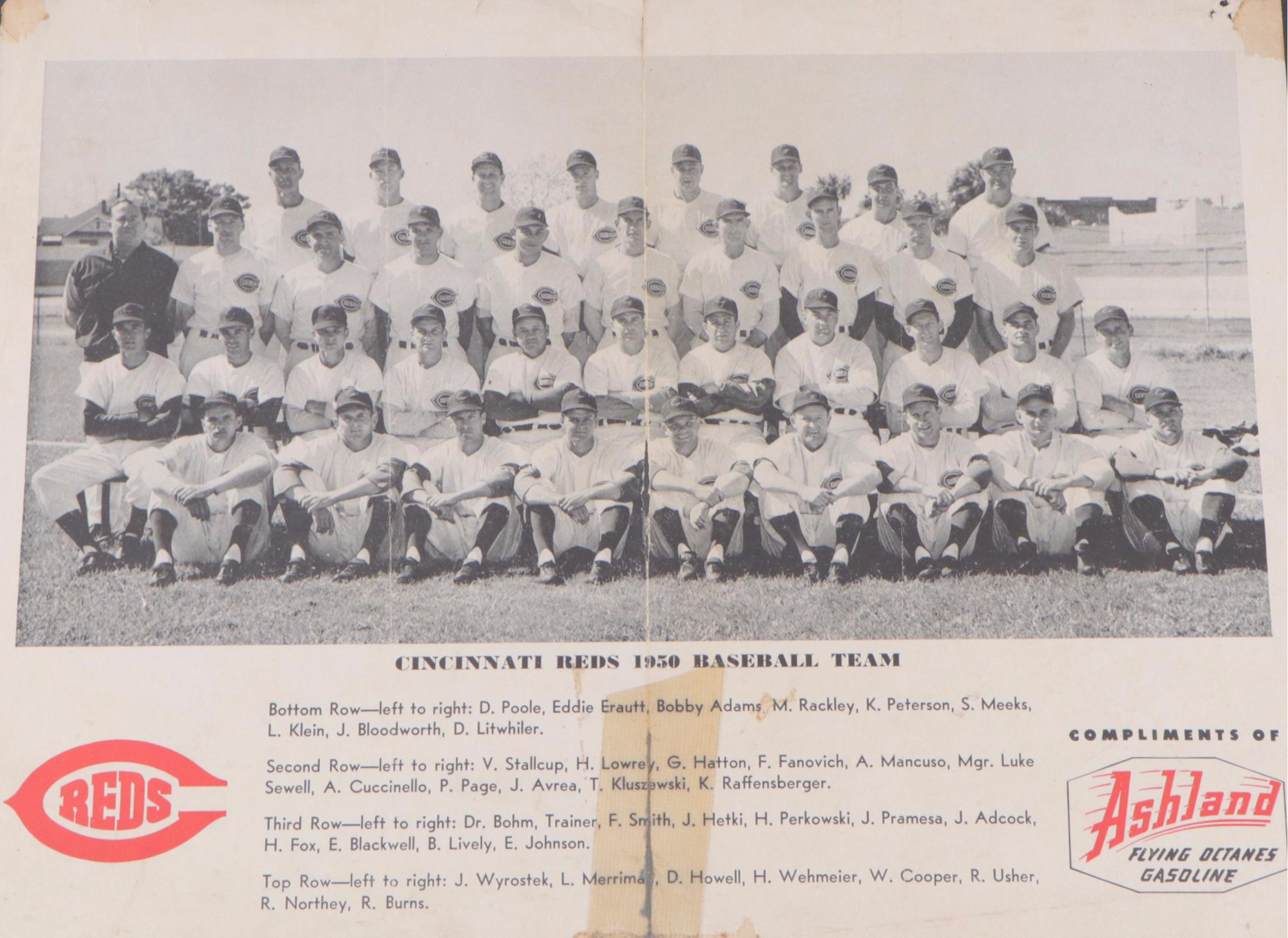 1950s Cincinnati Reds Baseball Team Photographs | Everything But The House