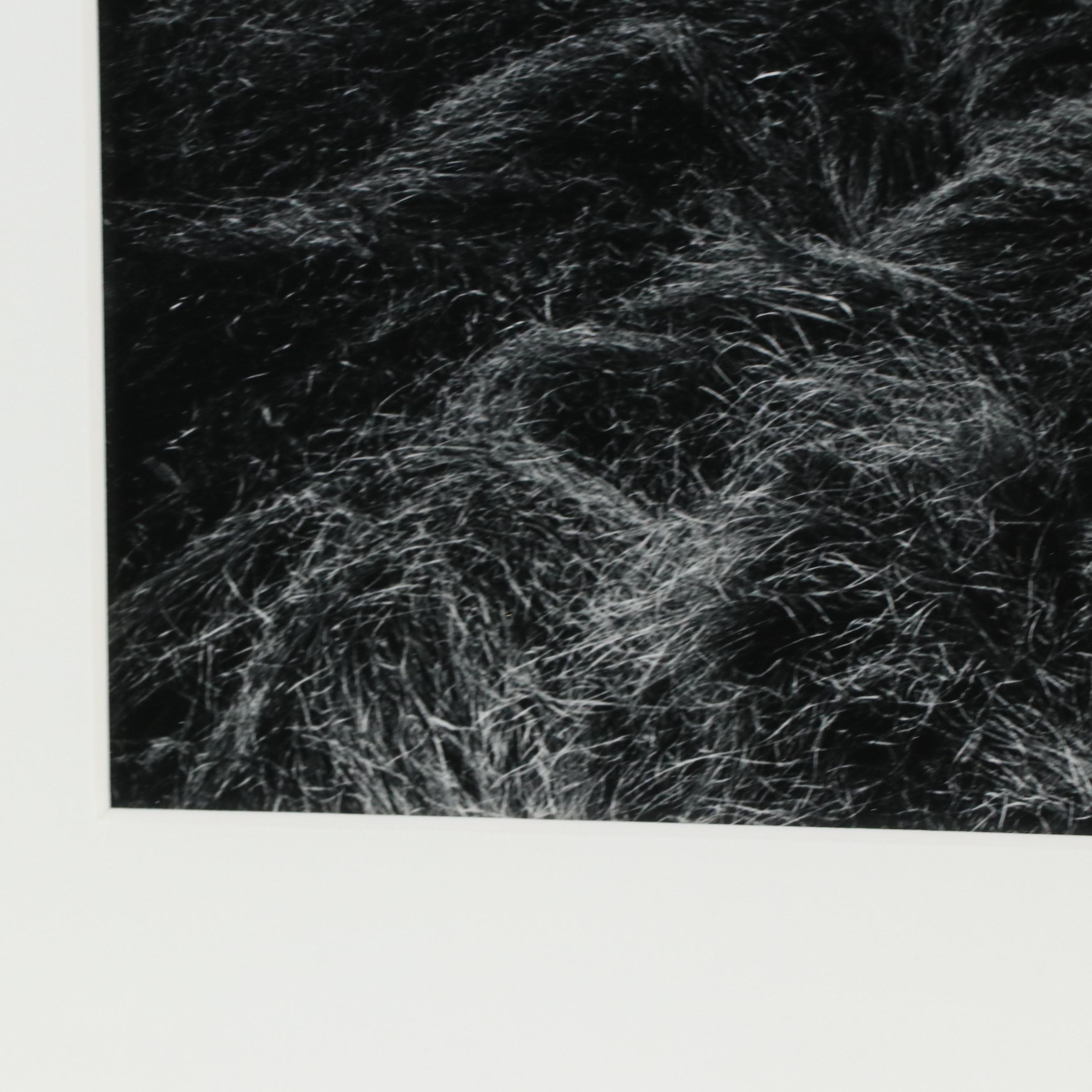 Johnny Alterman Silver Gelatin Print of Reclining Nude Figure in ...