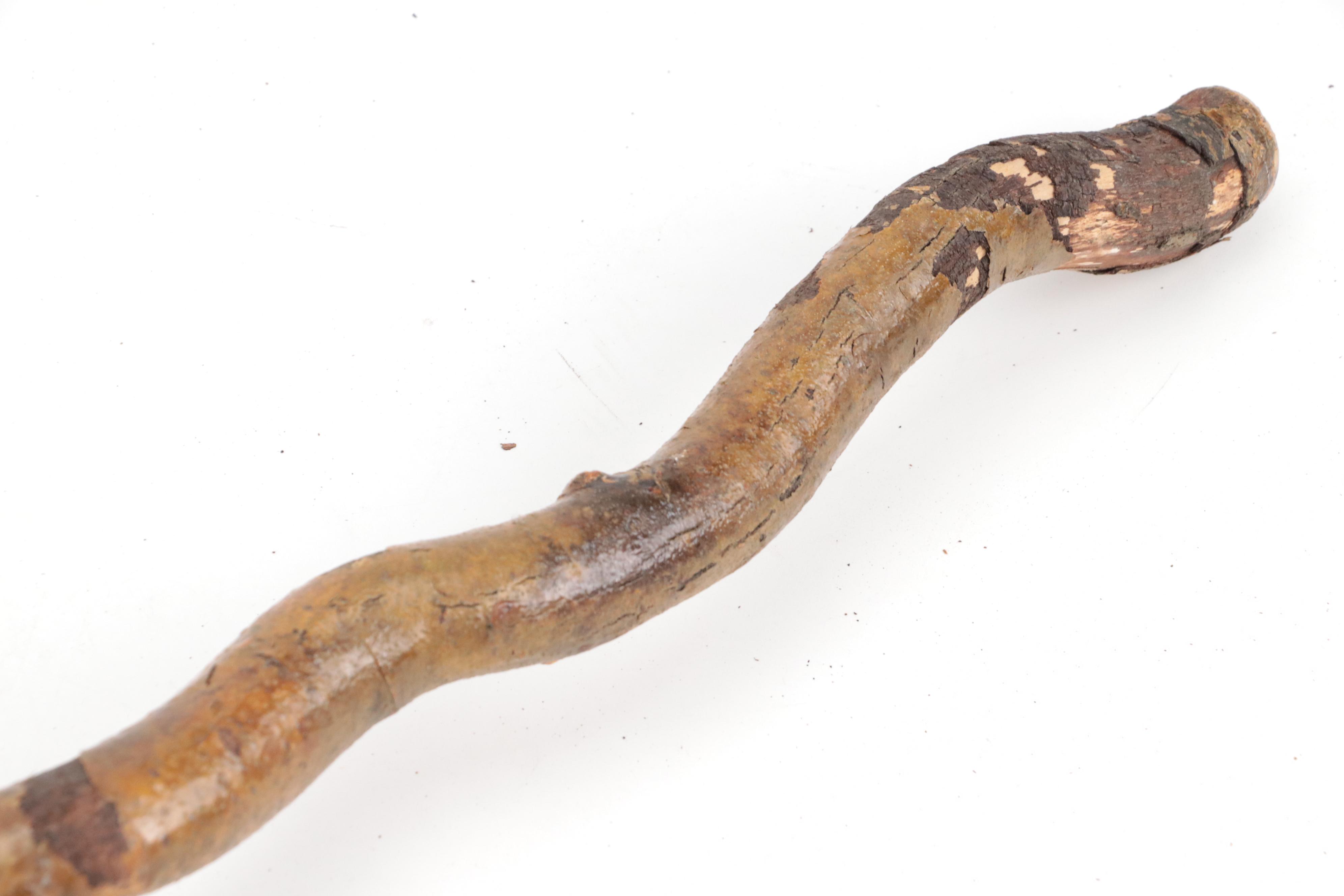 Palm Tree Cane, Natural Bark Finish Cane and Cherry Wood Walking Stick ...