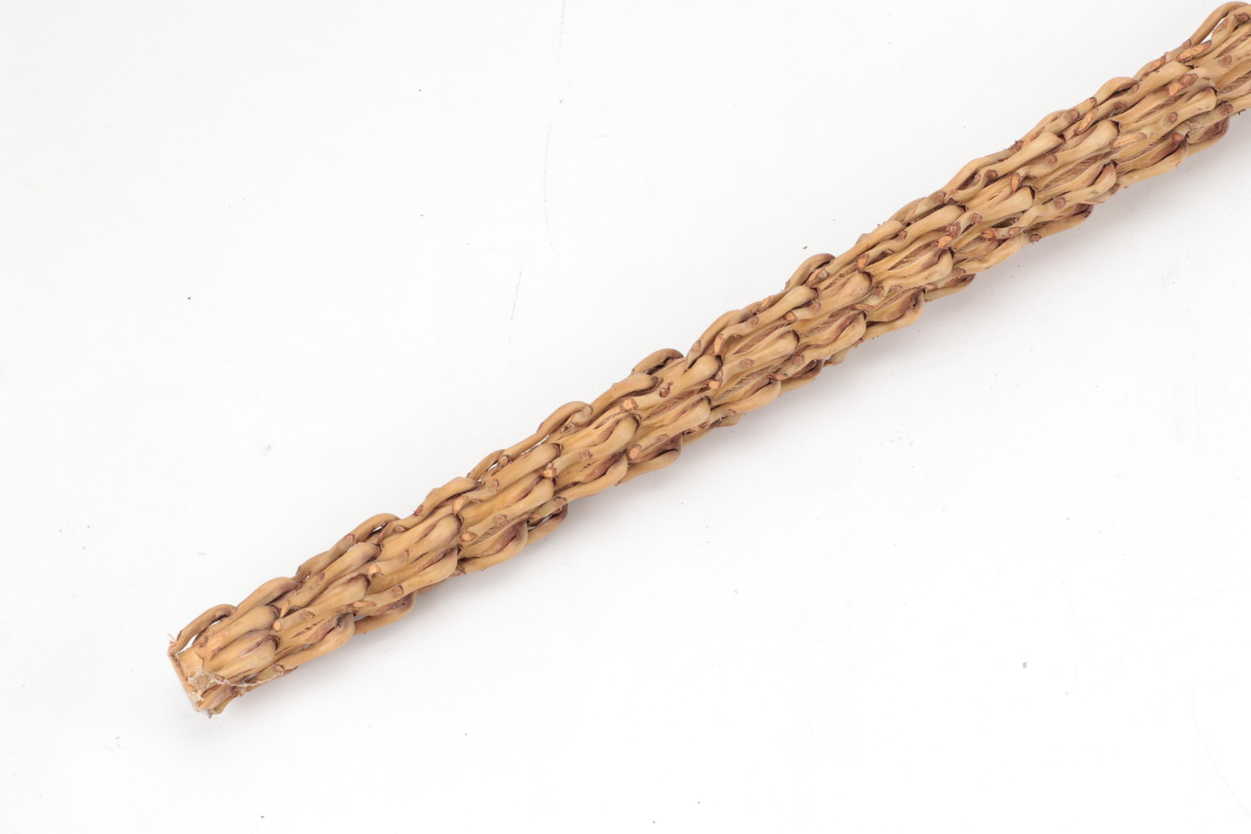 Palm Tree Cane, Natural Bark Finish Cane and Cherry Wood Walking Stick ...