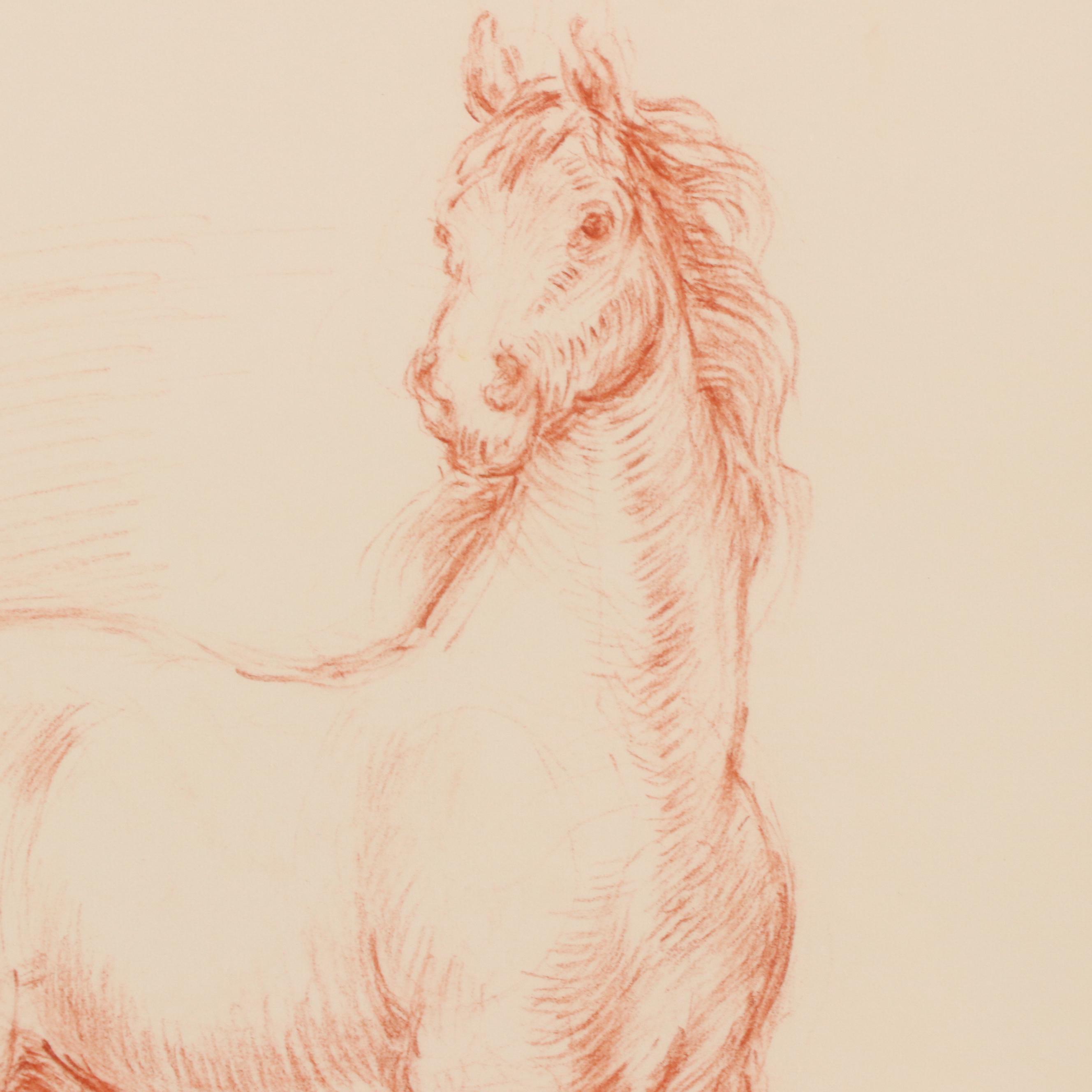 Carin Hebenstreit Conté Crayon Drawing Portrait of Horse | Everything ...