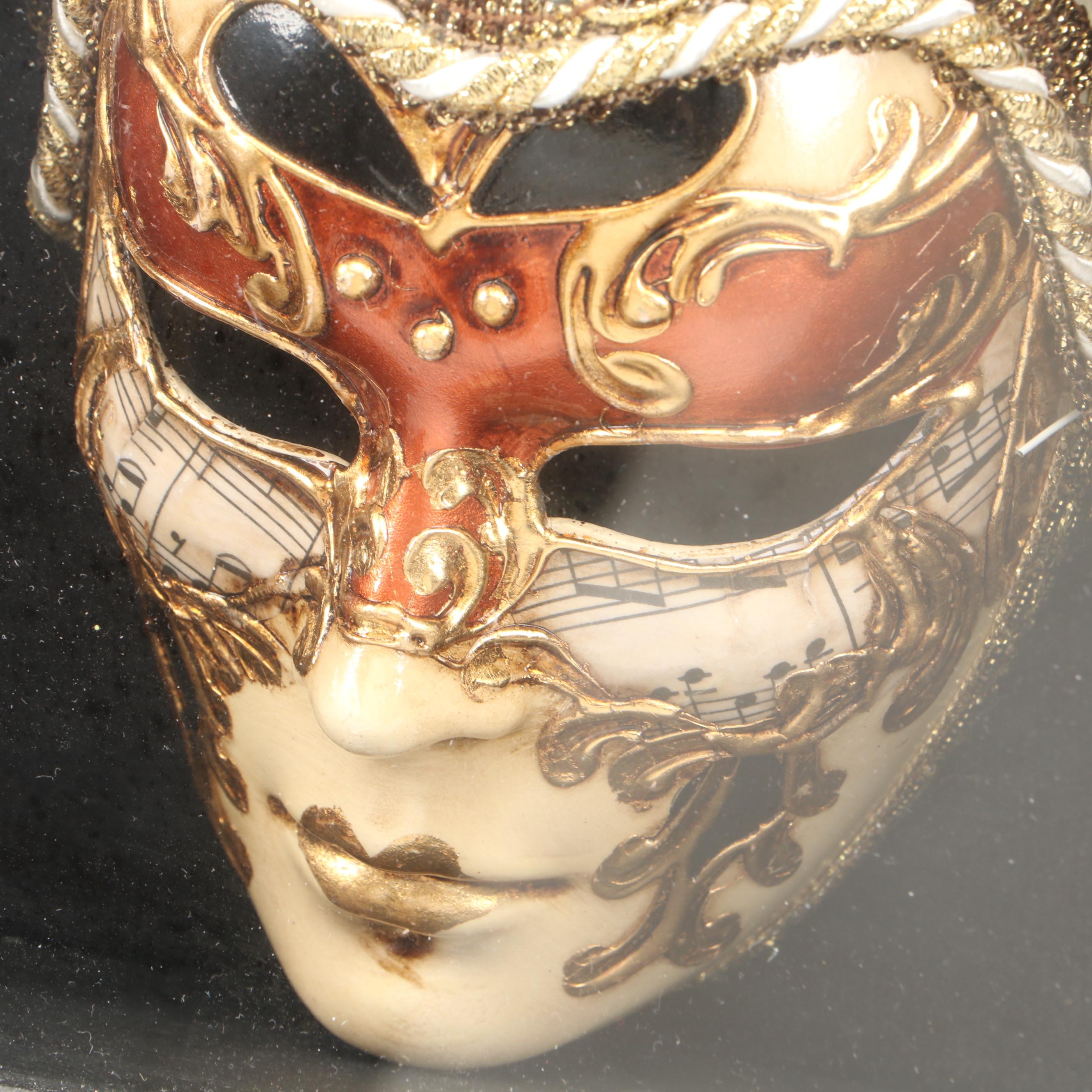 Venetian Handcrafted Papier-Mâché Masquerade Mask in Shadow Box Frame ...