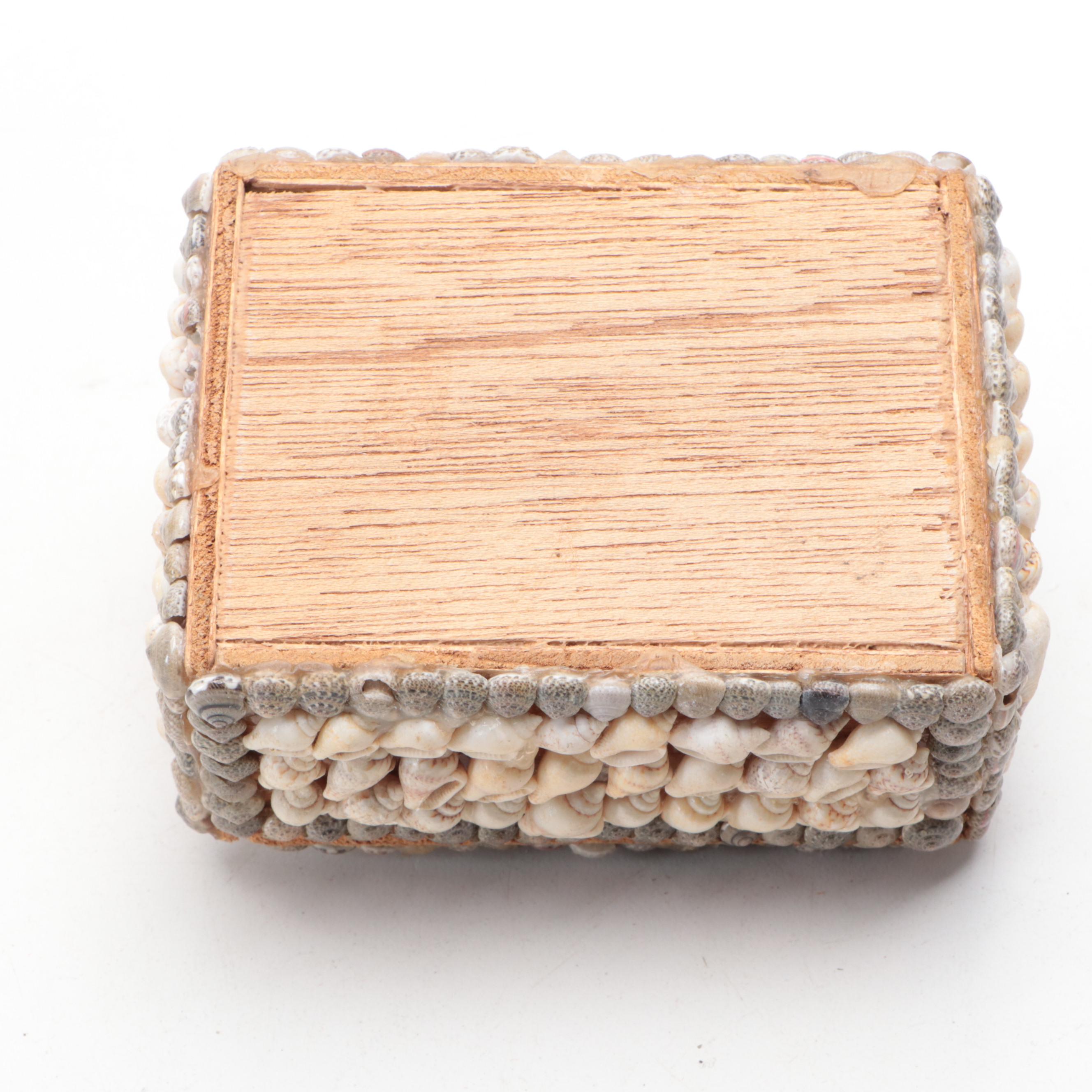 Seashell Embellished Rectangular and Square Boxes | Everything But The ...