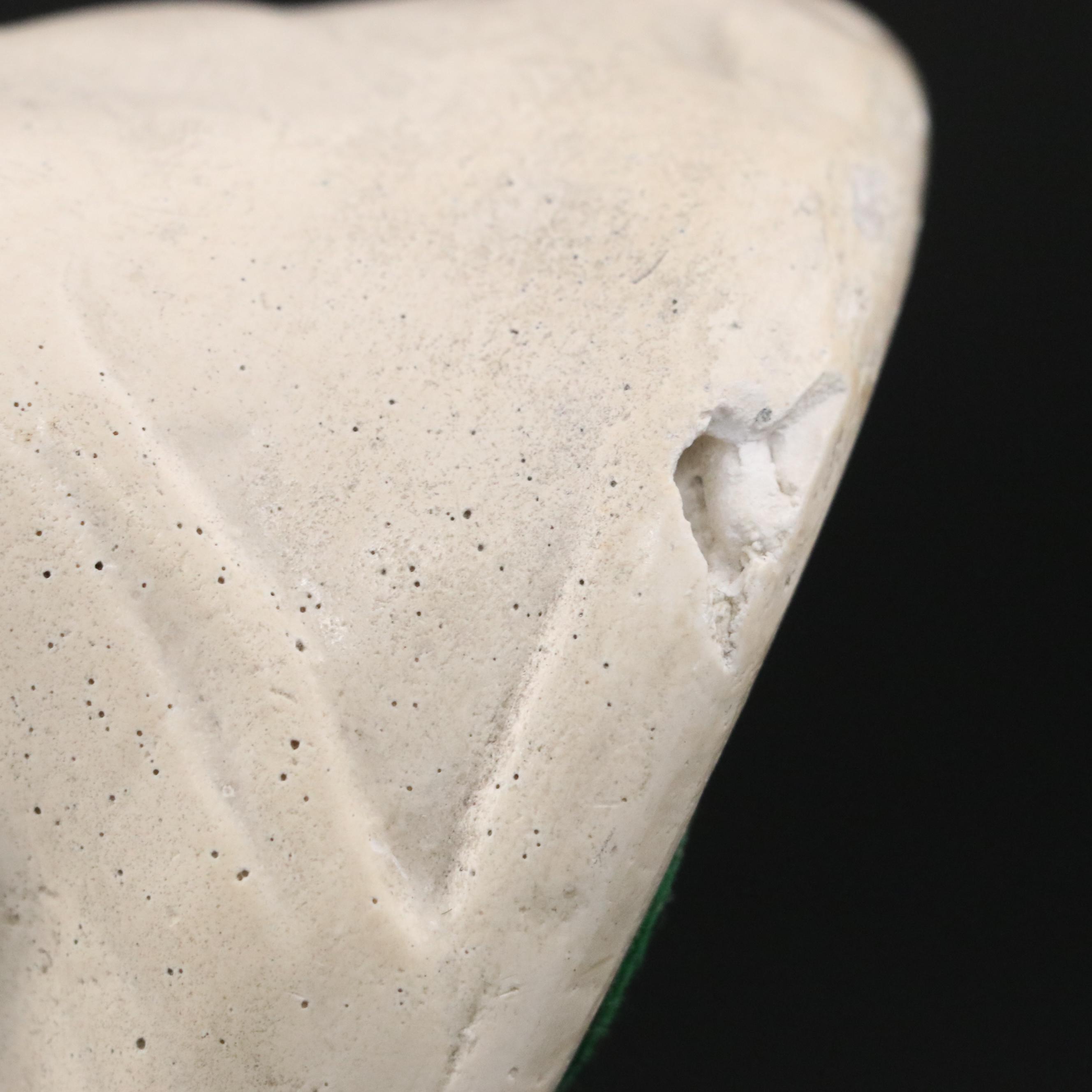 White Plaster Bust of Laughing Boy | Everything But The House