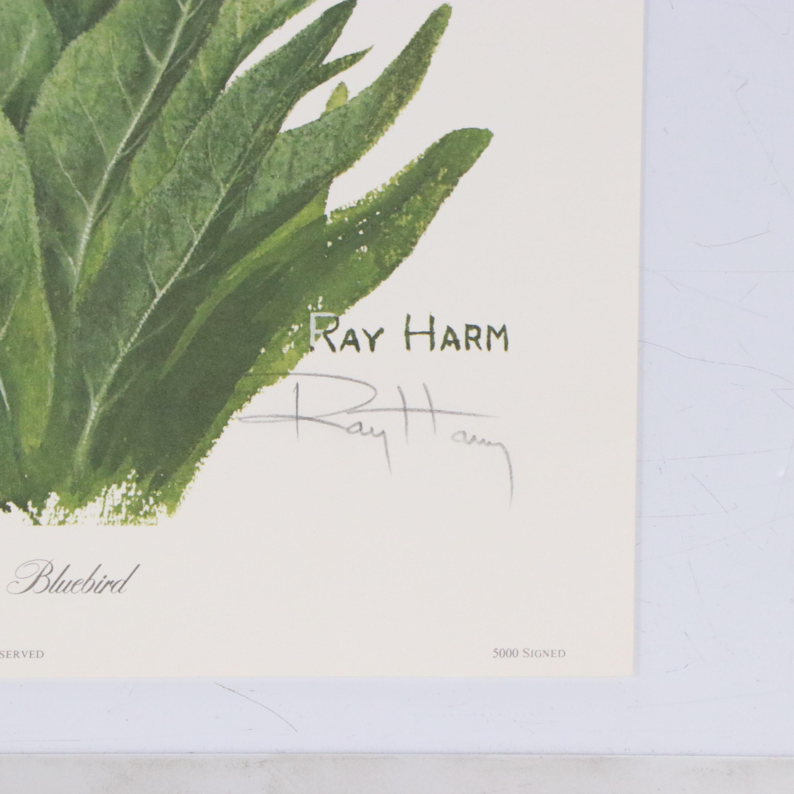 Ray Harm Ornithological Offset Lithographs, Circa 1975 | Everything But ...