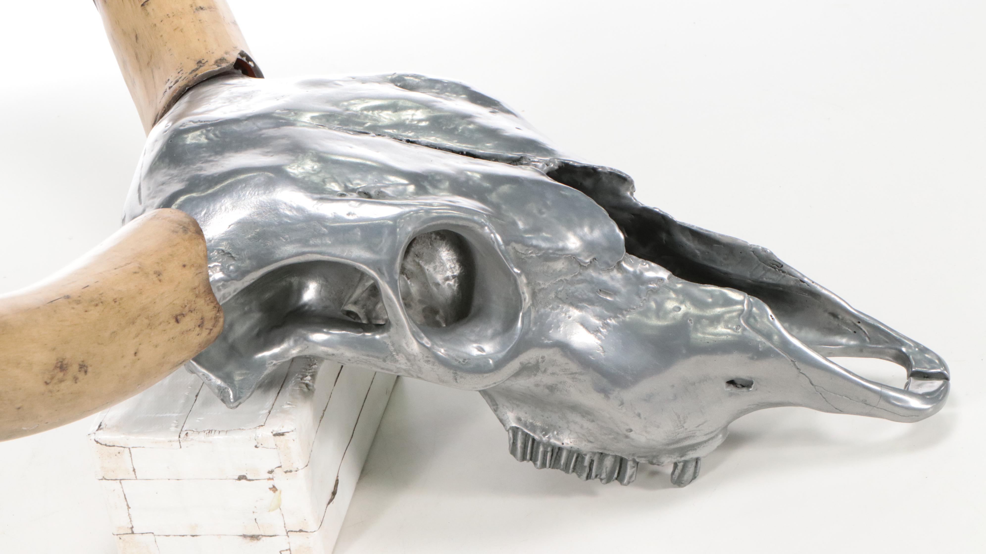 Faux Taxidermy Replica Steer Horns and Skull in Resin | EBTH