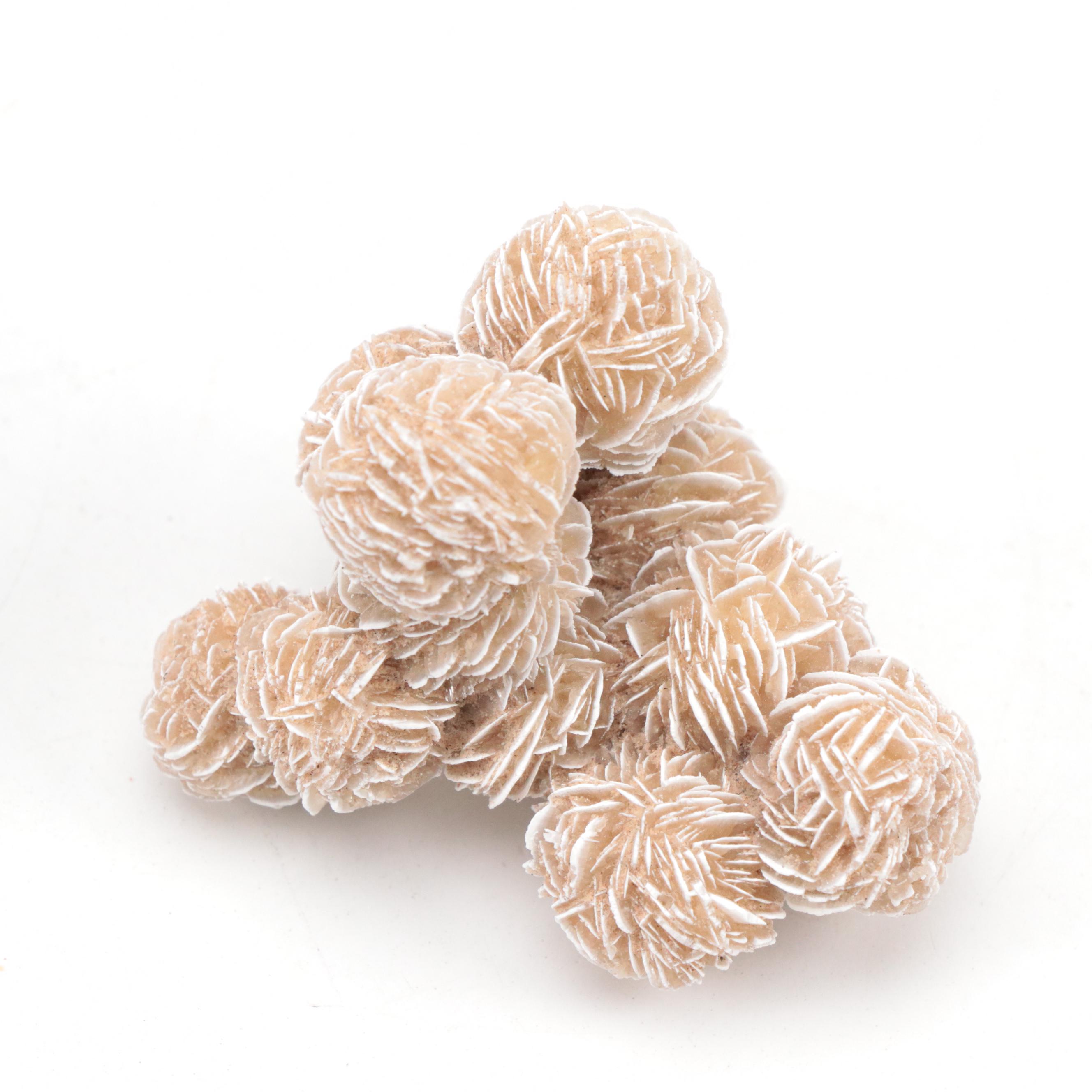 Mexican Barite or Gypsum Desert Rose Mineral Specimens | Everything But ...