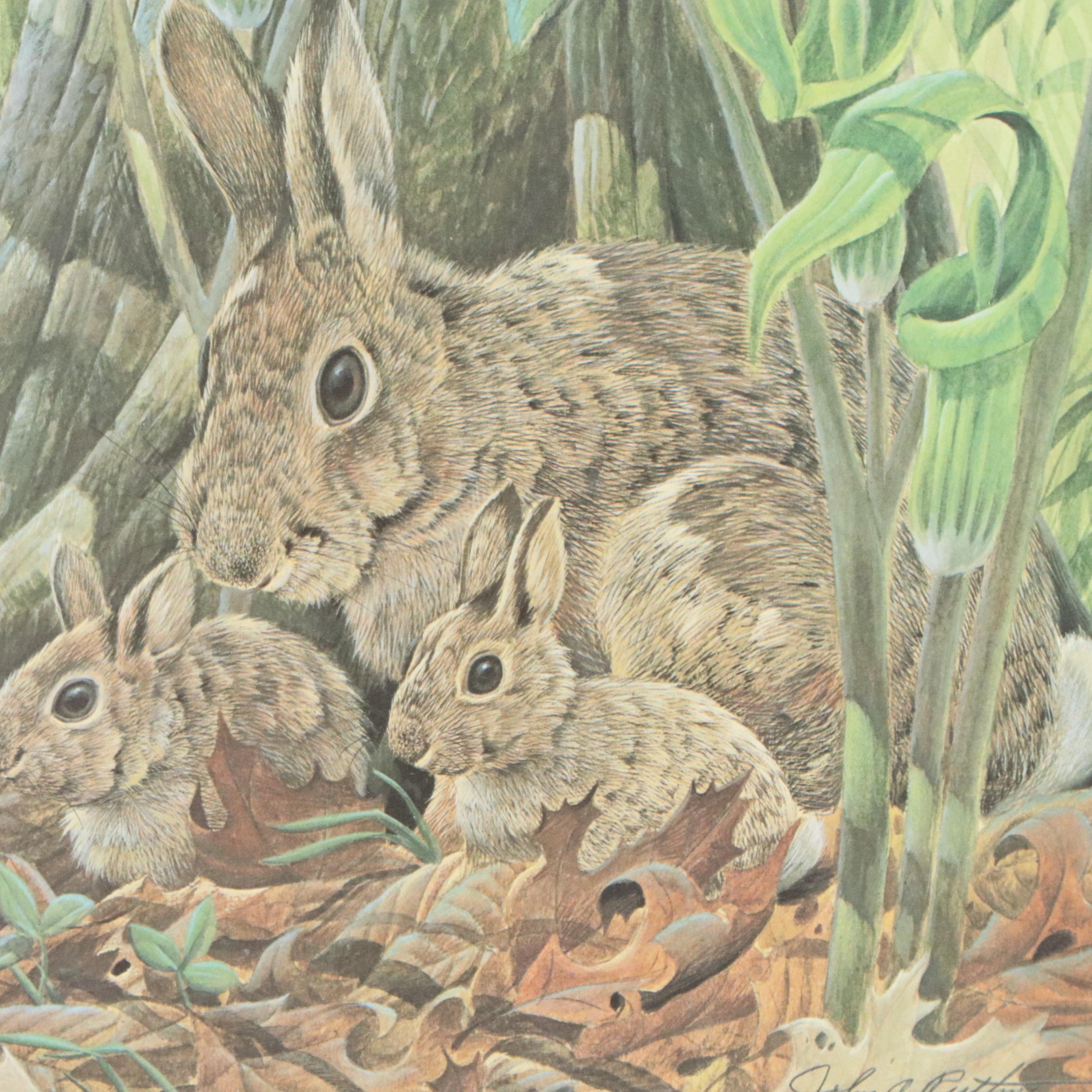 John A. Ruthven Offset Lithograph "Cottontails," 1983 | Everything But ...