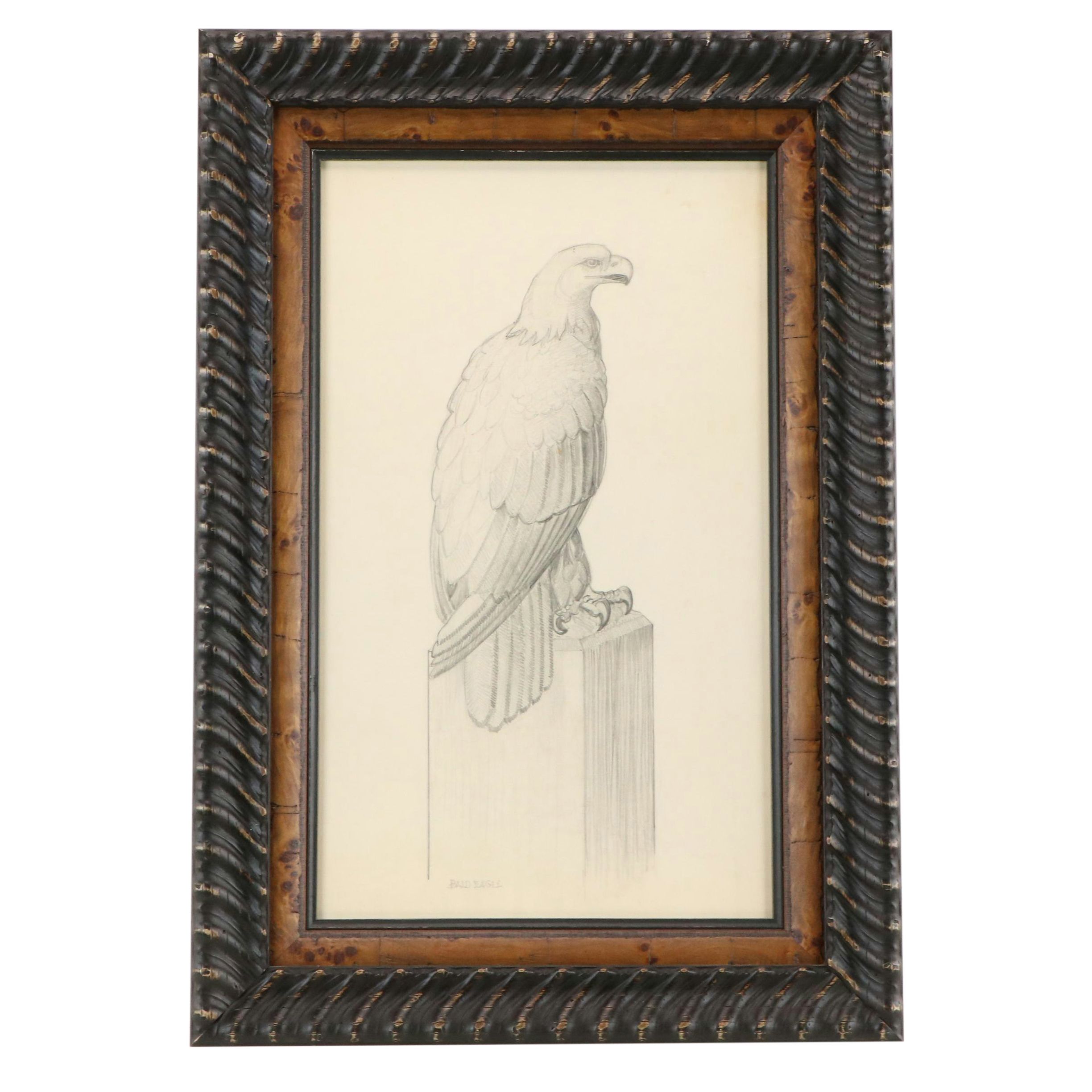 Graphite Drawing "Bald Eagle," 20th Century | EBTH