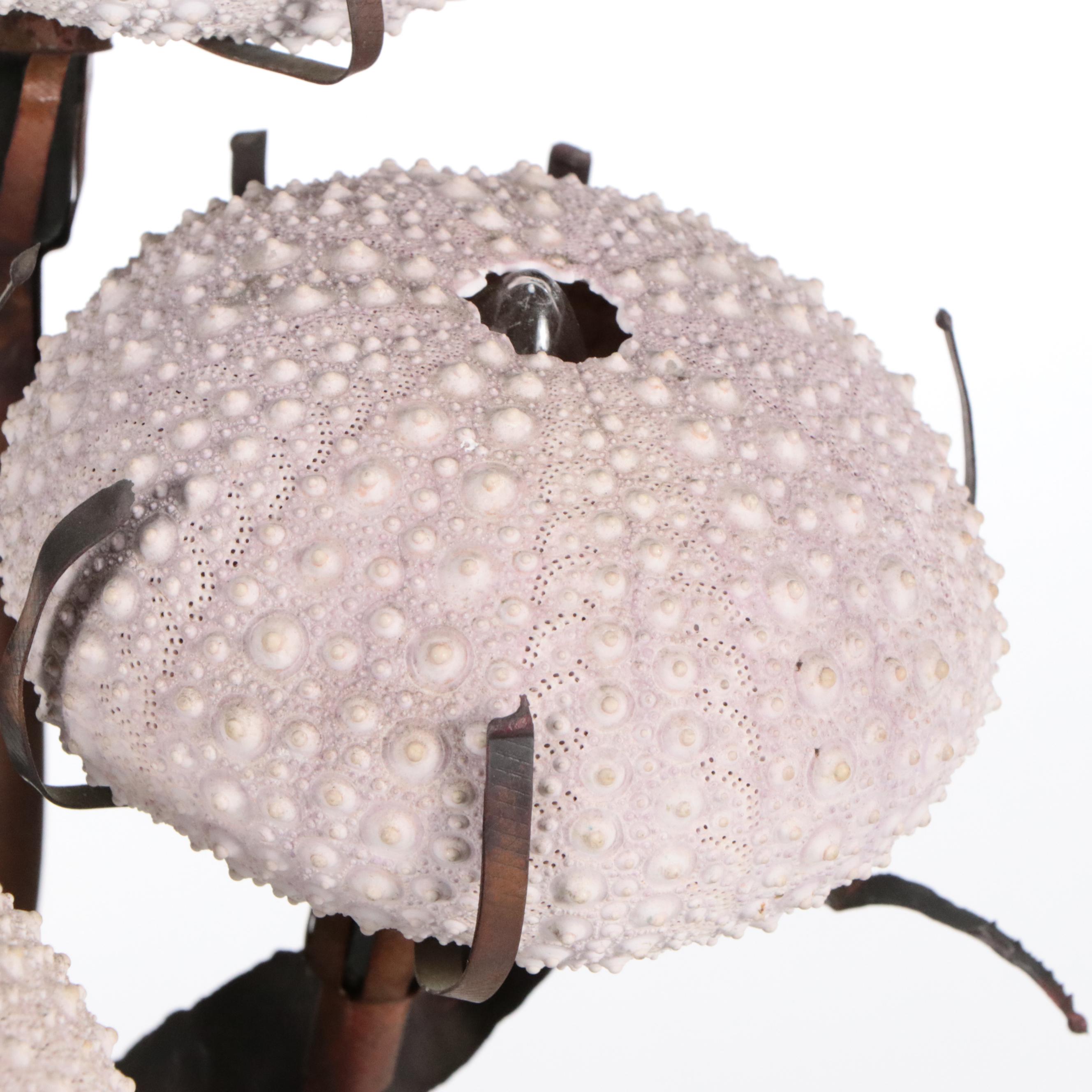 Bronzed Metal and Composite Lily Leaf & Burl Base with Sea Urchins and ...