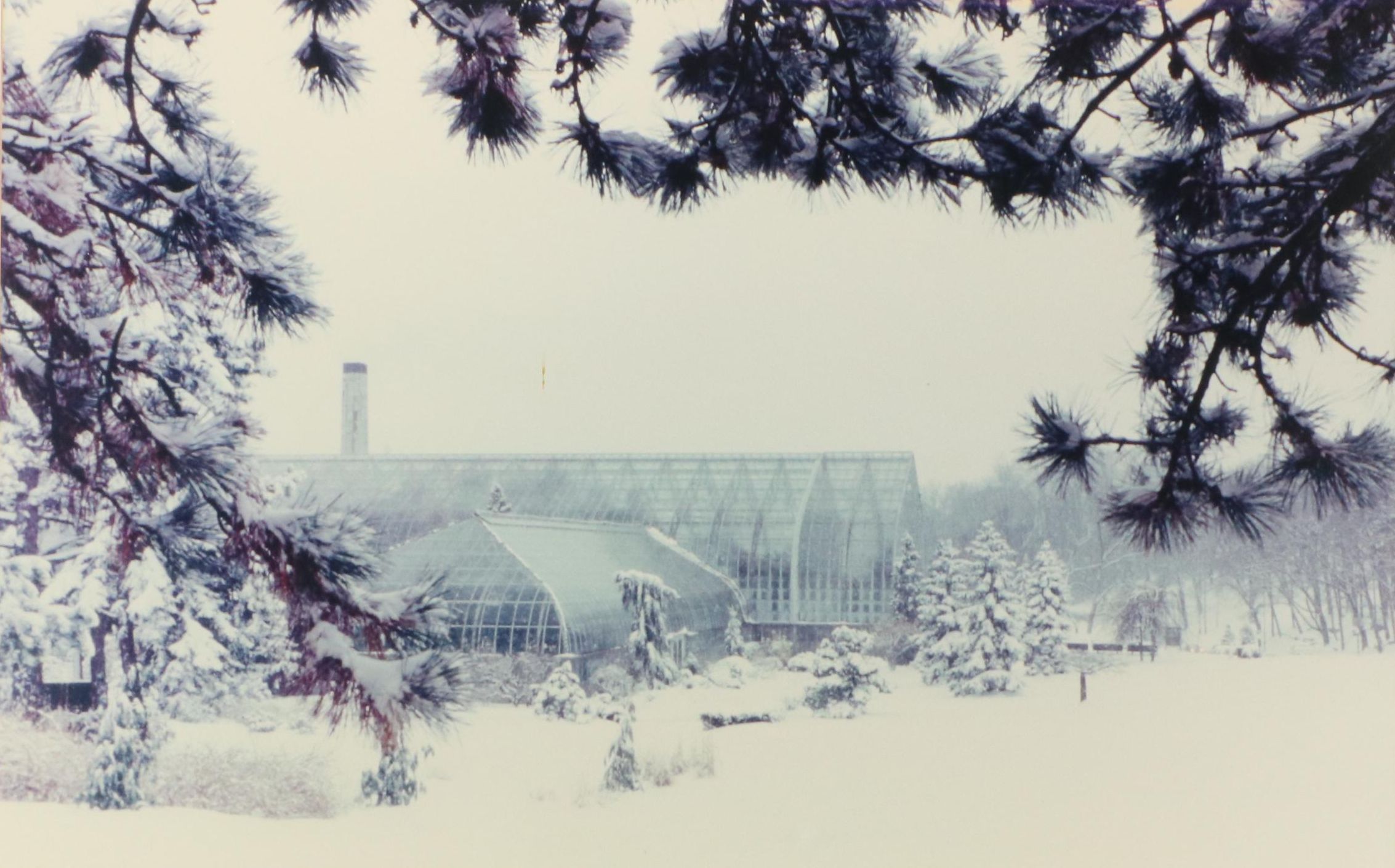 Silver Gelatin Print of Krohn Conservatory in the Snow | EBTH