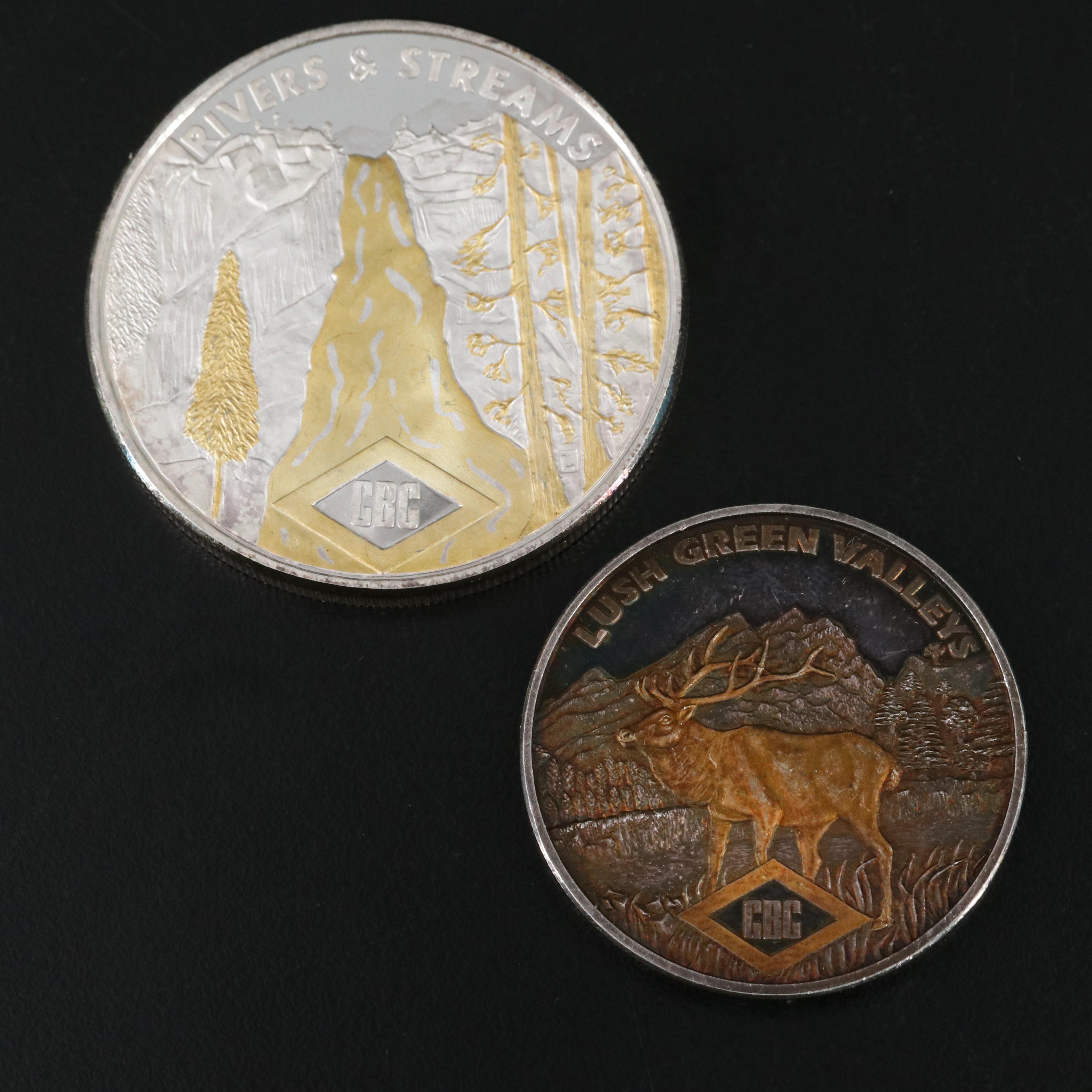 Six Different Silver Rounds Totaling 14 Ounces of .999 Silver with Gold ...