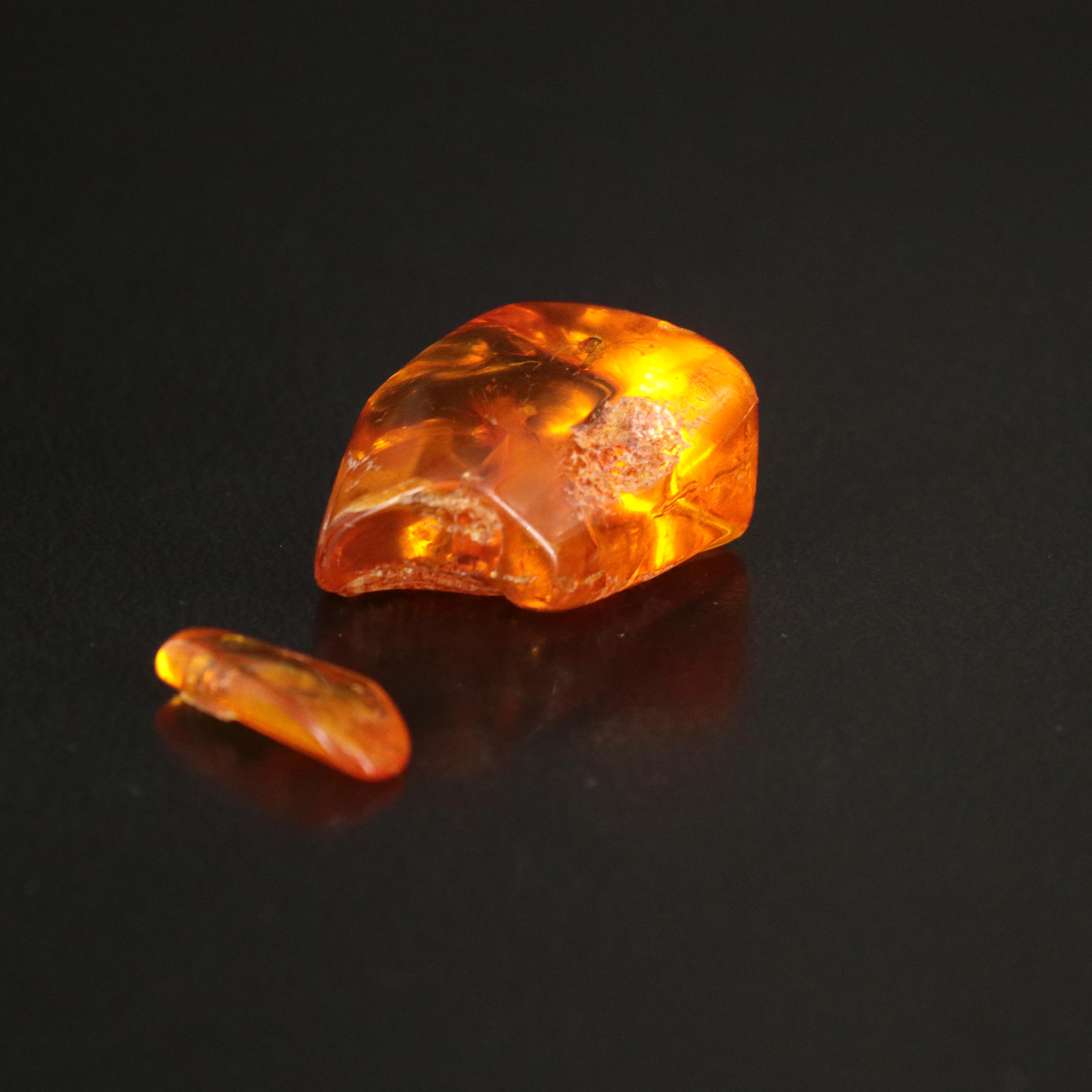 Amber with Embedded Insect Specimen | EBTH