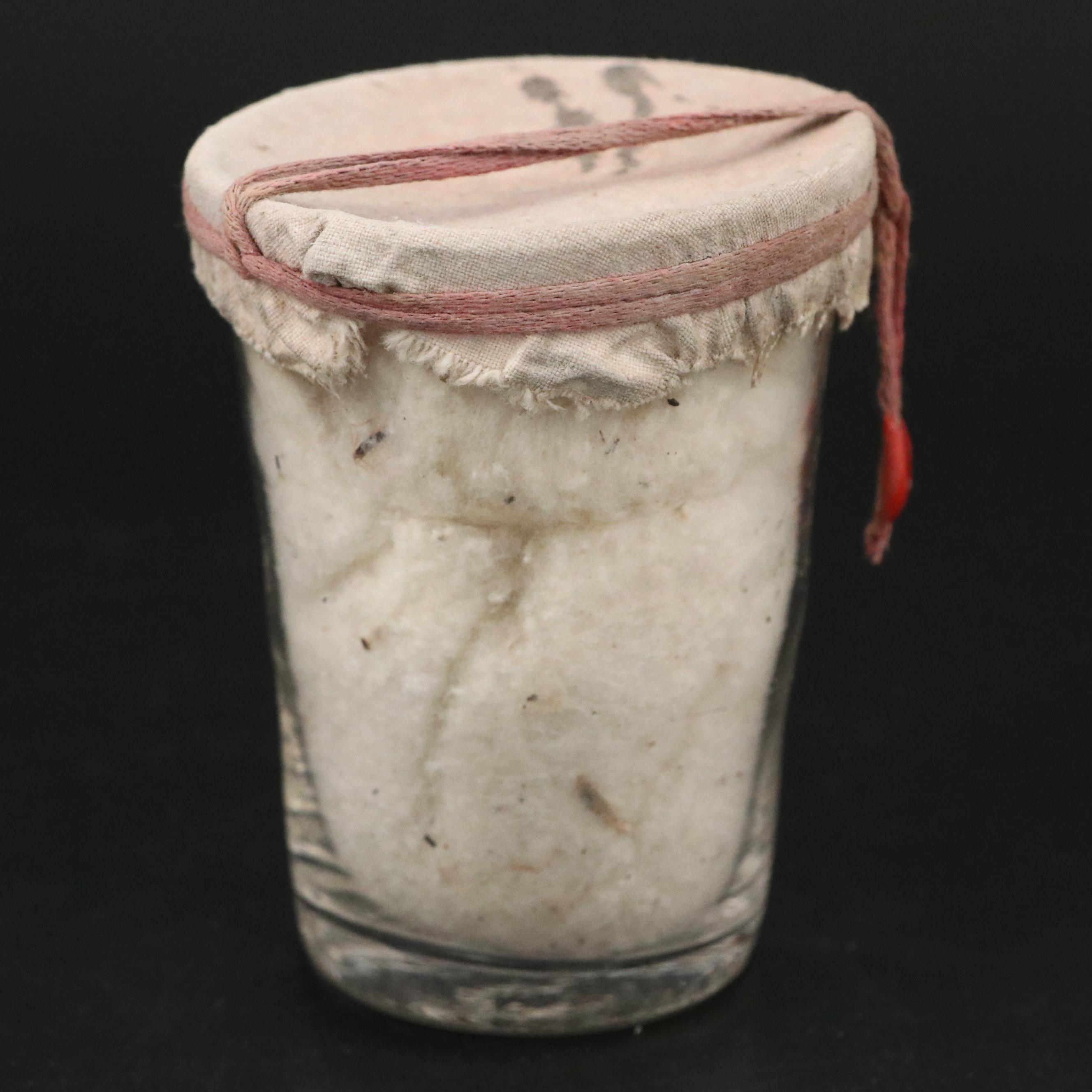 First Class Relic of Saint Terence of Pesaro with Papal Seal | EBTH