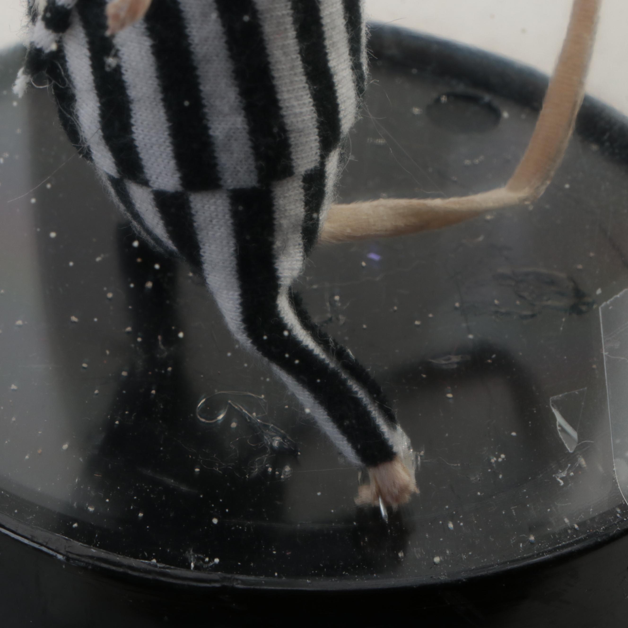 Taxidermy Beetlejuice Character Mouse in Acrylic Cloche | Everything ...