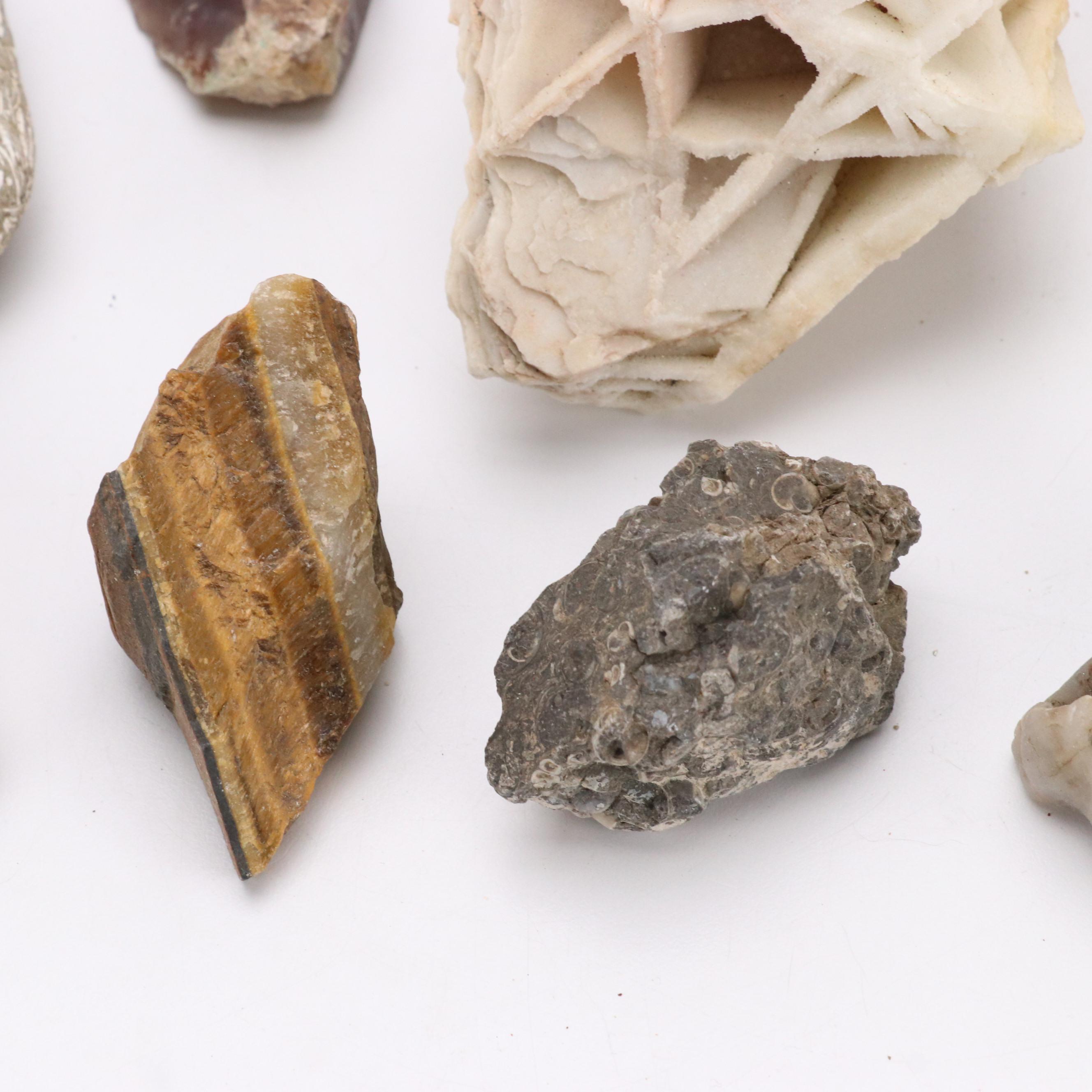 Tiger's Eye, Septarian Geode Slab, Desert Rose Gypsum, Fossils and More ...