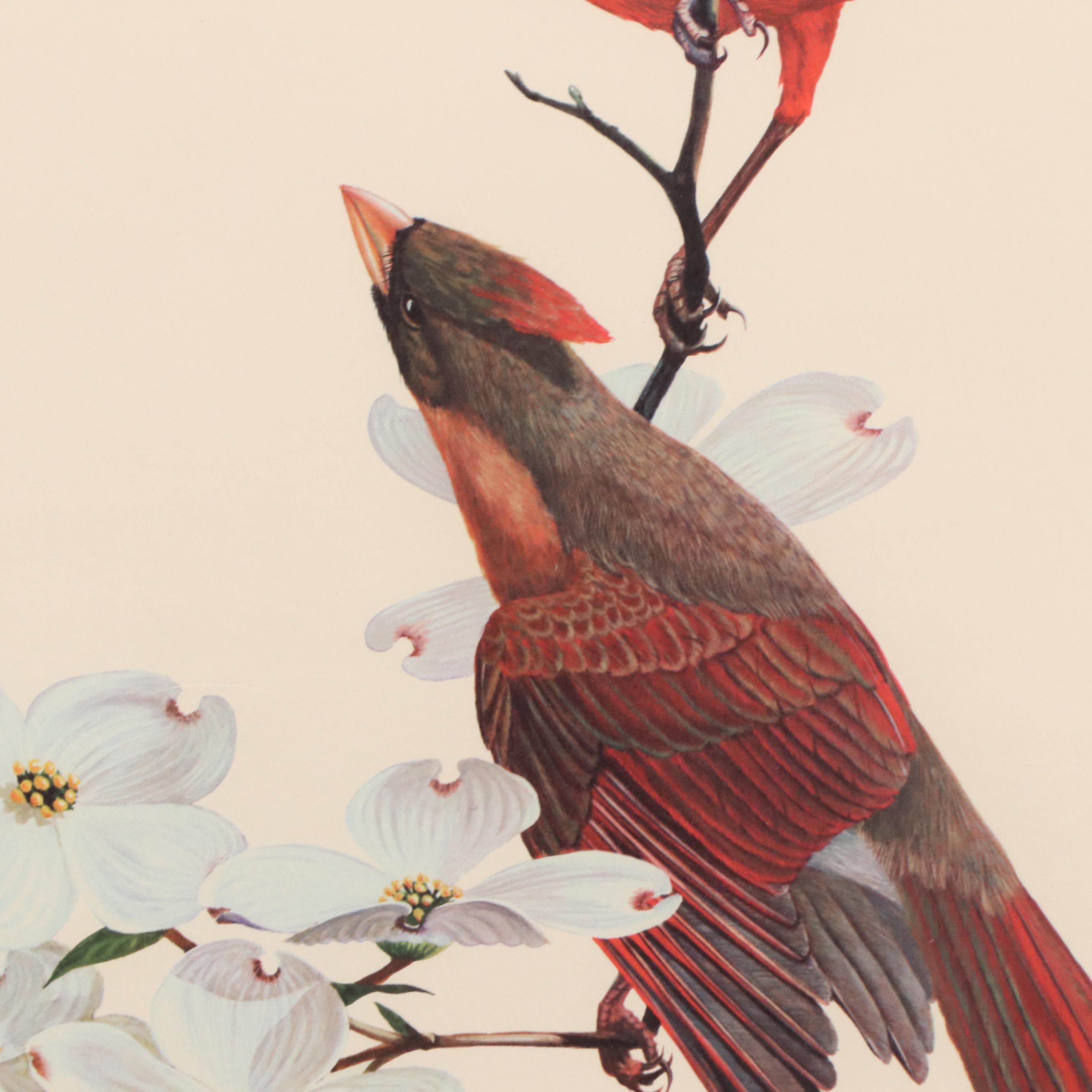 Ray Harm Offset Lithograph "Cardinal", 1963 | EBTH