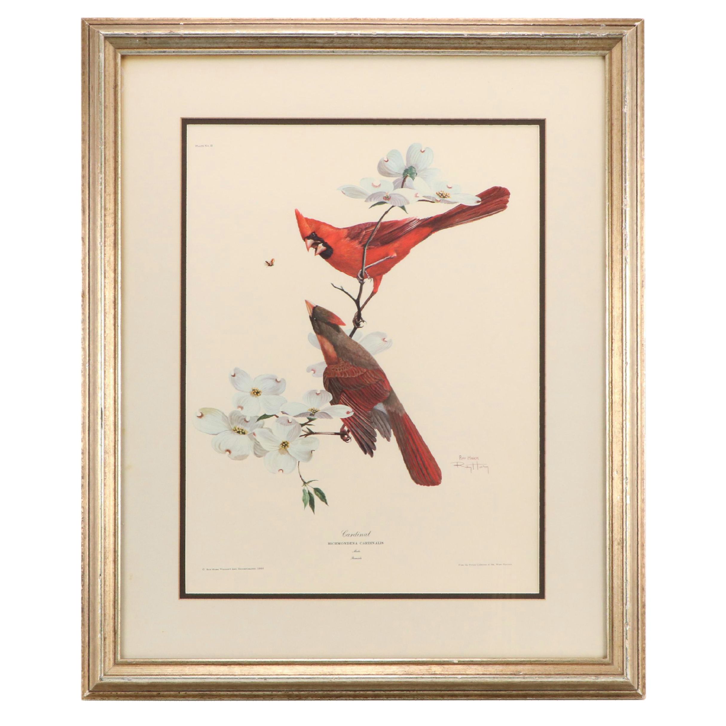 Ray Harm Offset Lithograph "Cardinal", 1963 | EBTH