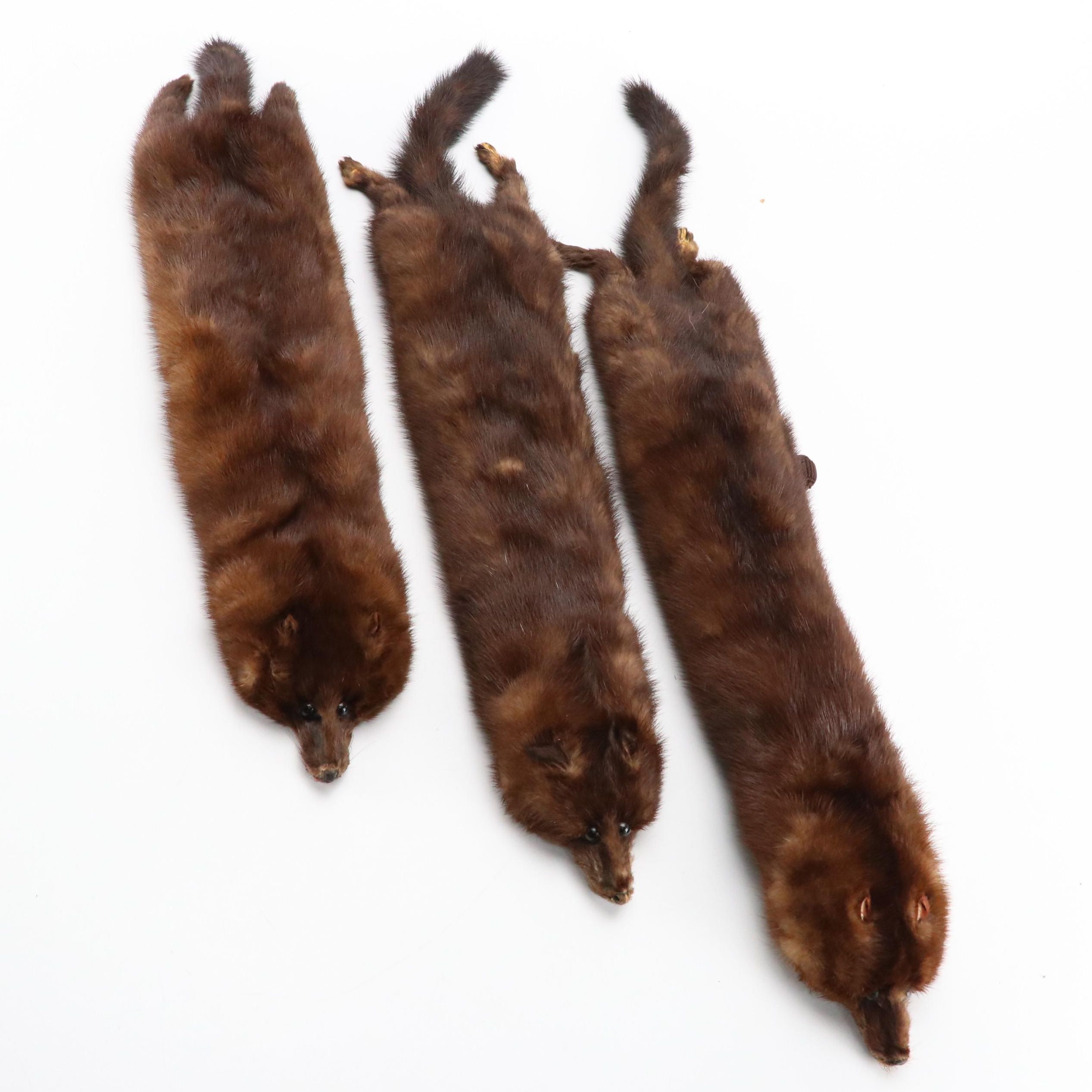 Mink Fur Full Pelt Stole from Nigbor Furs, Mid-20th Century | EBTH