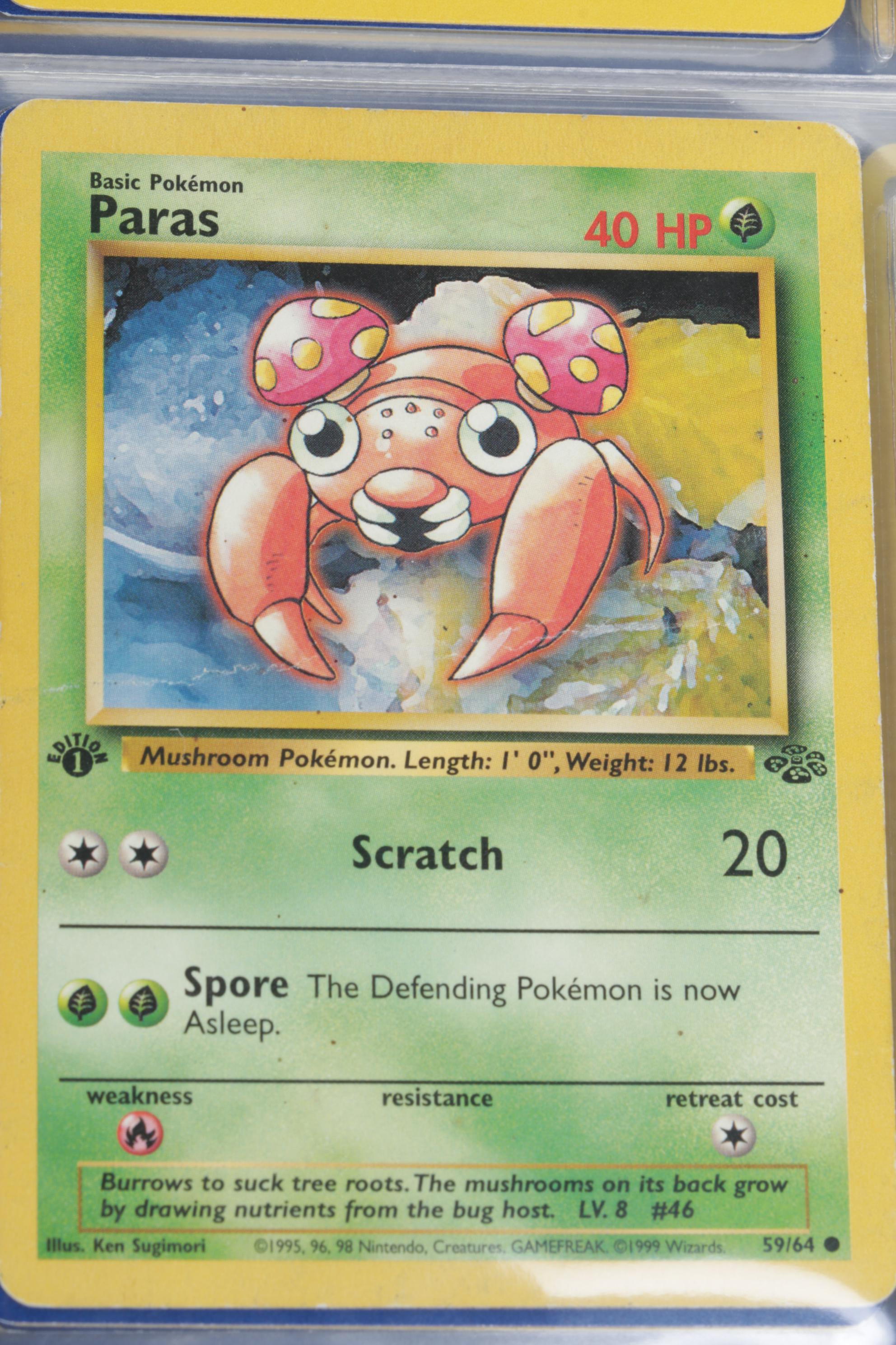 Pokémon Card Collection Featuring Base Set with Modern Reprints | EBTH