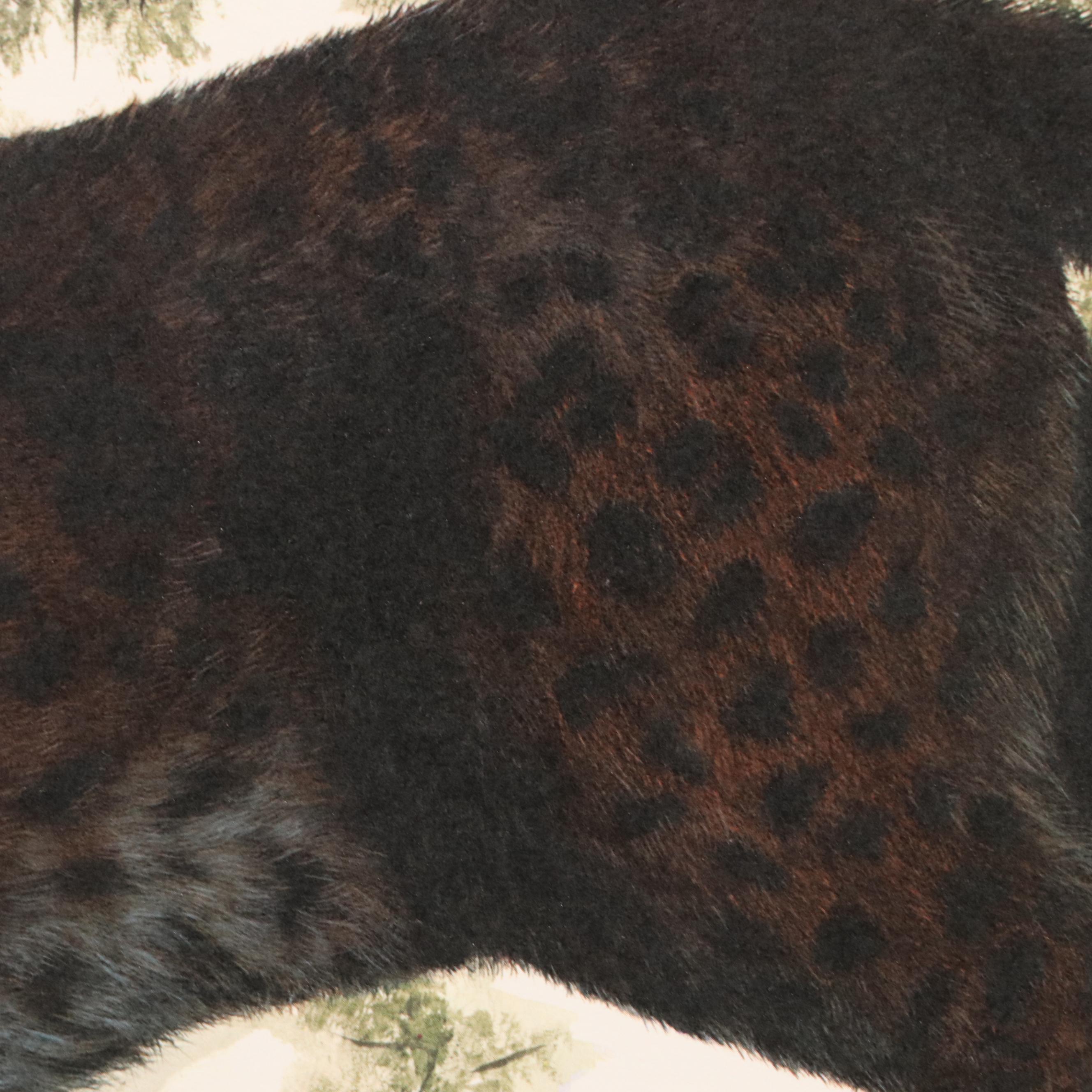 Imogene Farnsworth Offset Lithograph "Melanistic Leopard," 1977 | EBTH