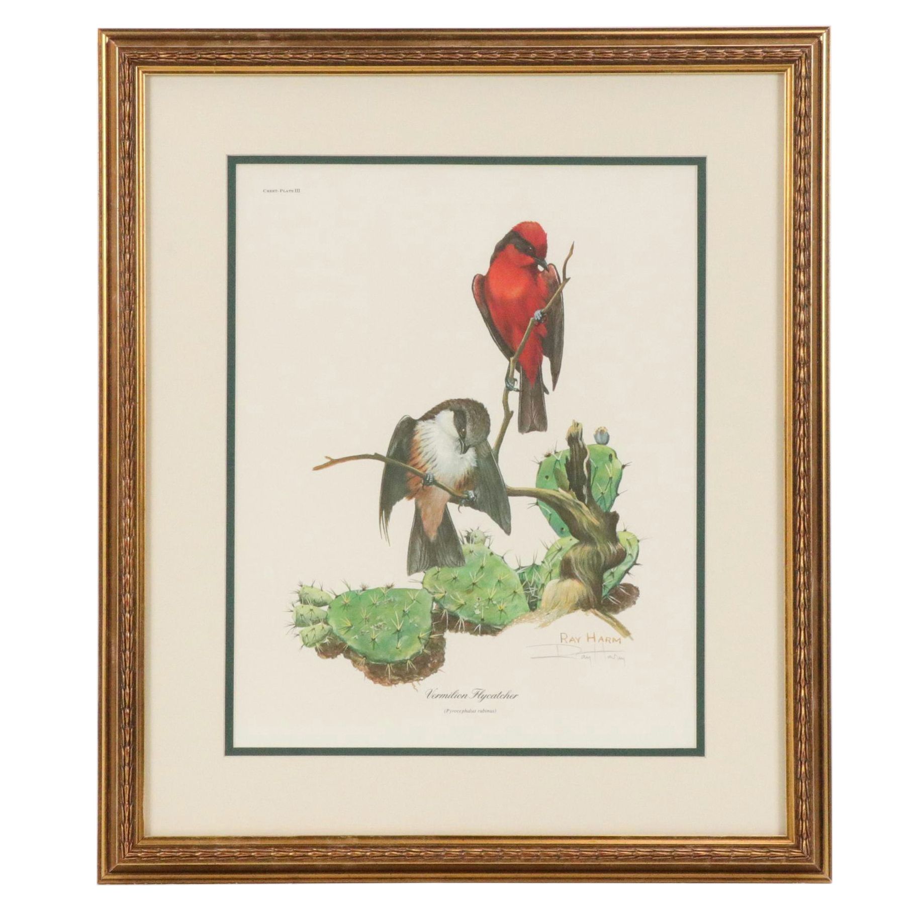 Ray Harm Offset Lithograph "Vermilion Flycatcher" | EBTH