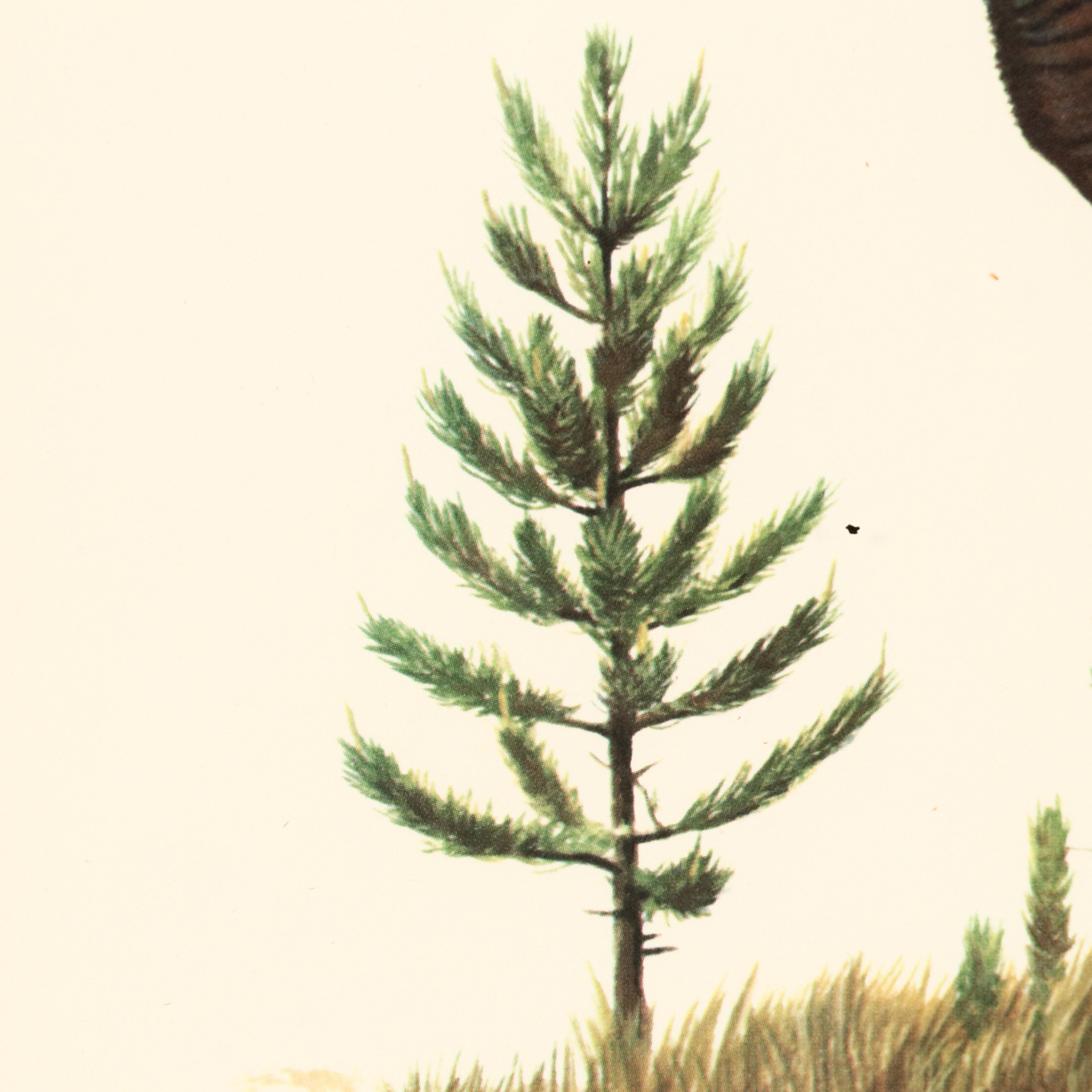 Ray Harm Offset Lithograph "Wild Turkey" | EBTH