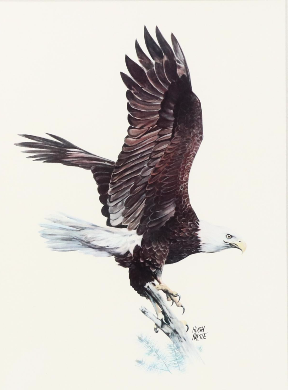 Offset Lithograph After Hugh Hirtle "Bald Eagle," Late 20th Century | EBTH