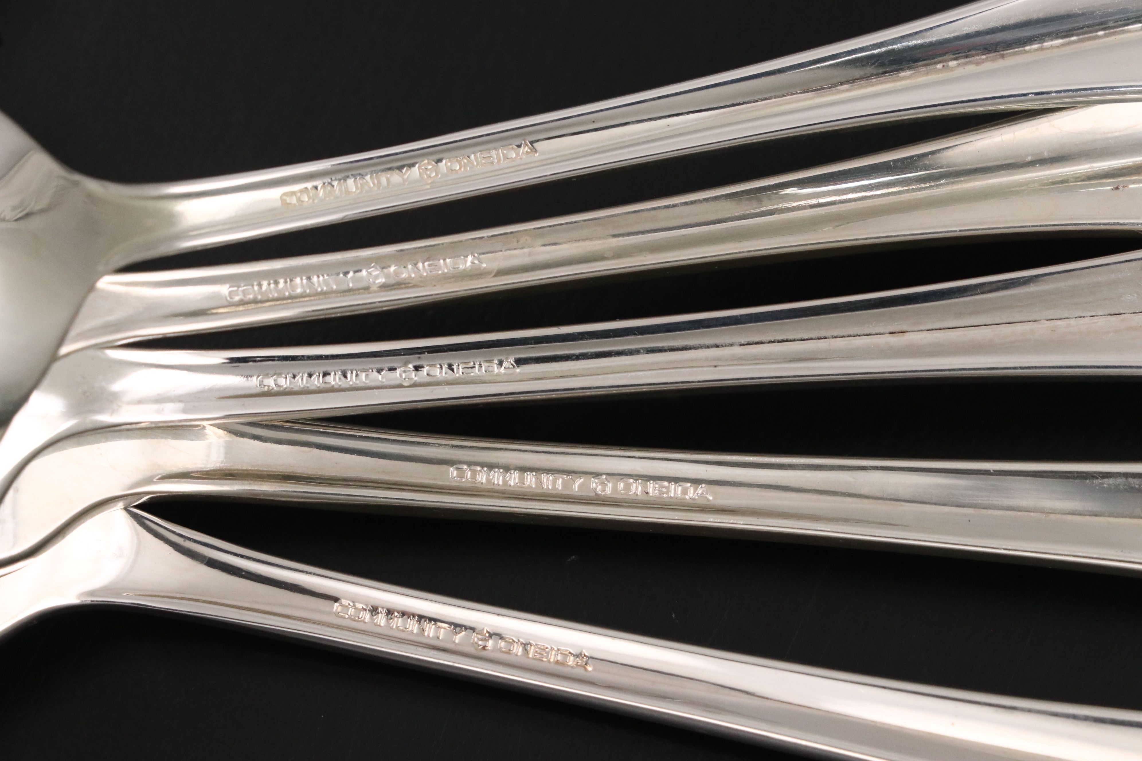 Community Oneida Silver Plate Flatware Set with Presentation Storage ...