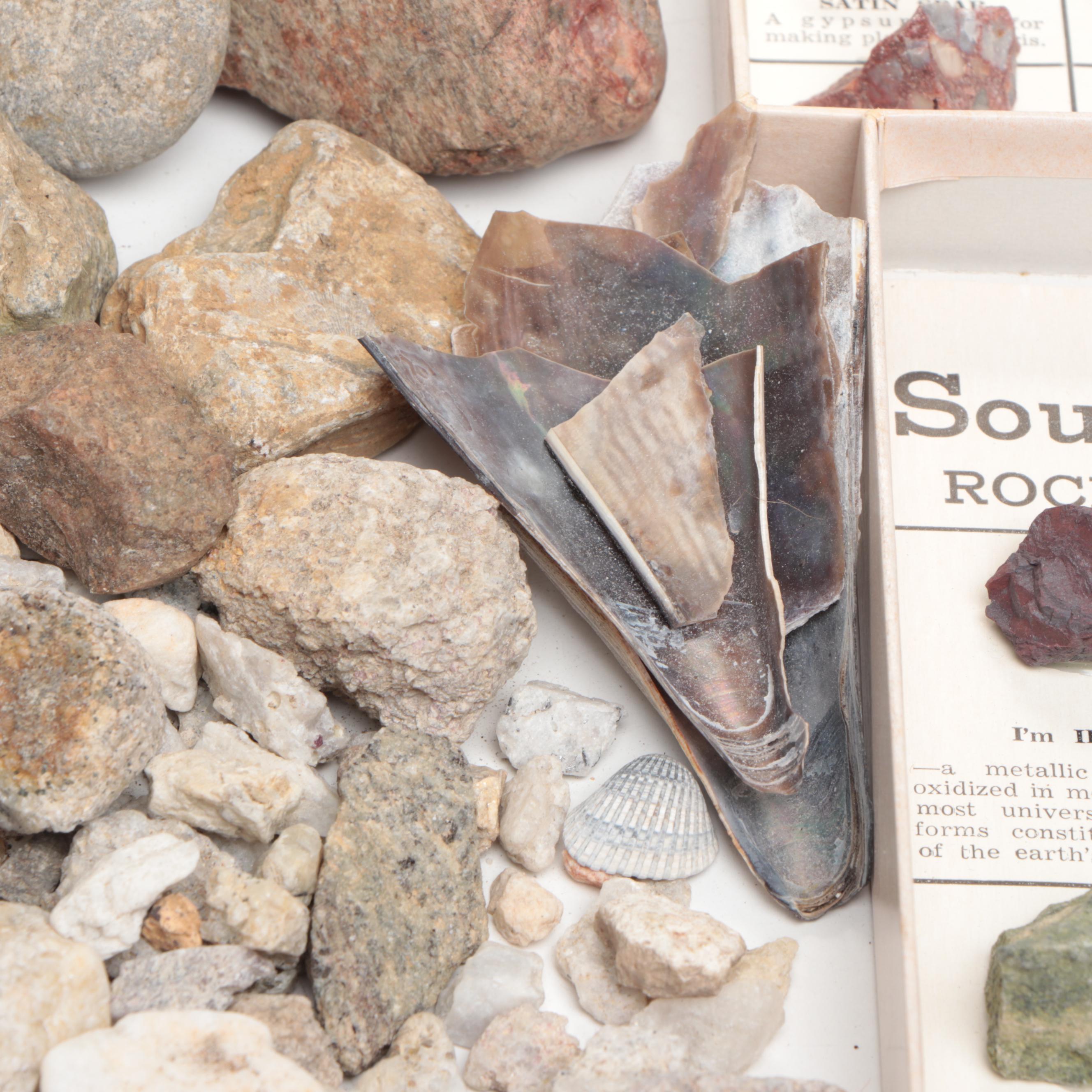 Rock, Mineral, and Fossil Specimens with "Rock and Gem" Reference Book ...