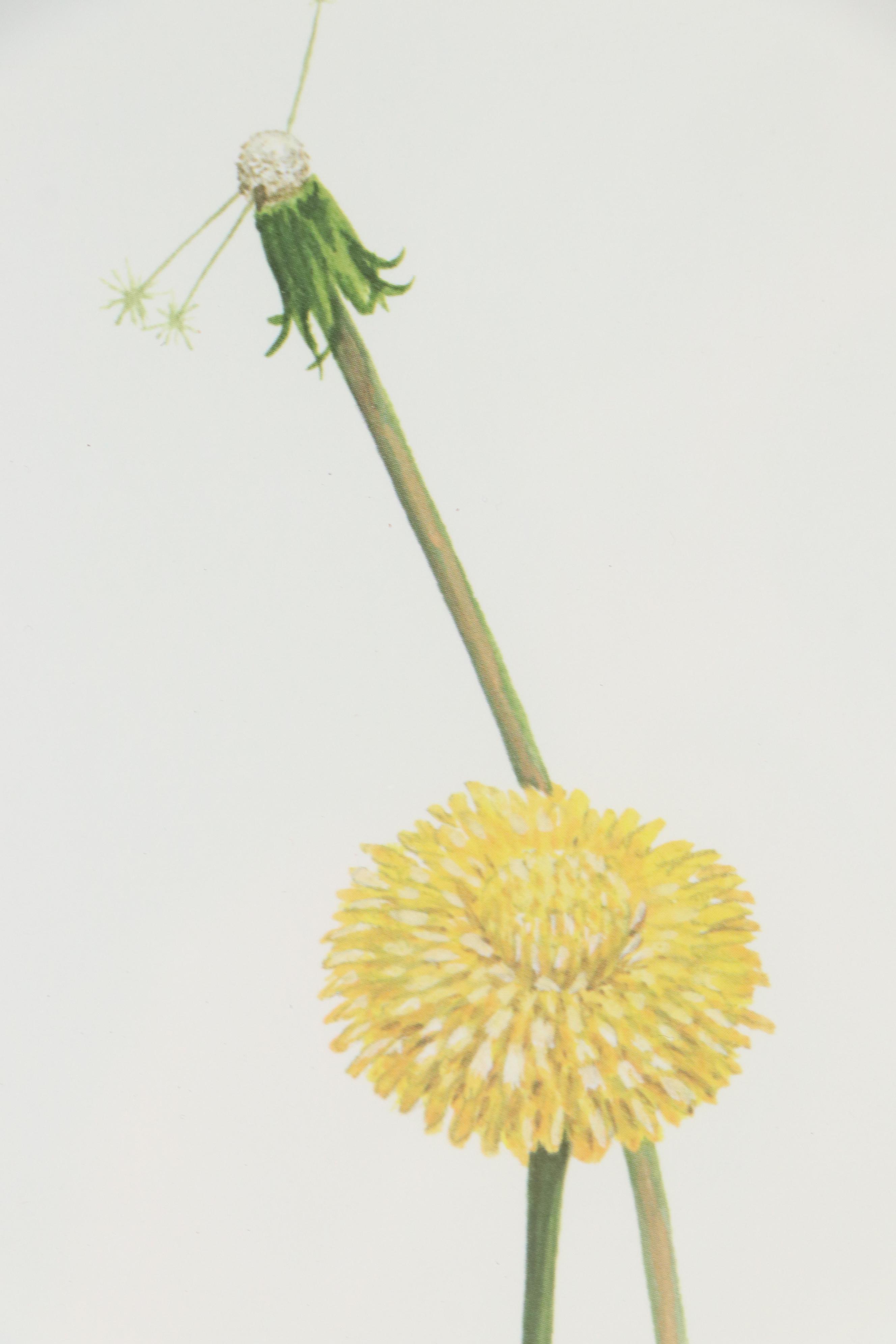 Ray Harm Offset Lithograph "Goldfinch," Circa 1970 | EBTH