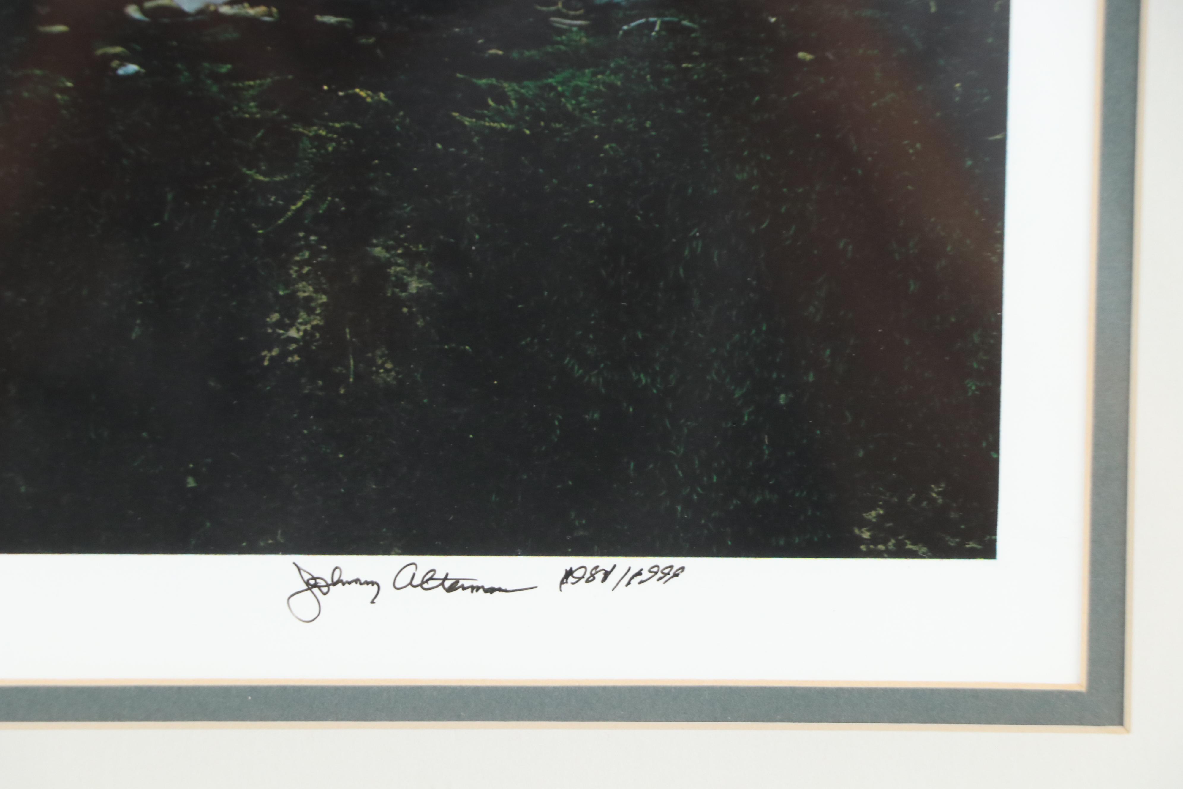 Johnny Alterman Giclée "Green Leaf / Dream Thought," 1999 | EBTH